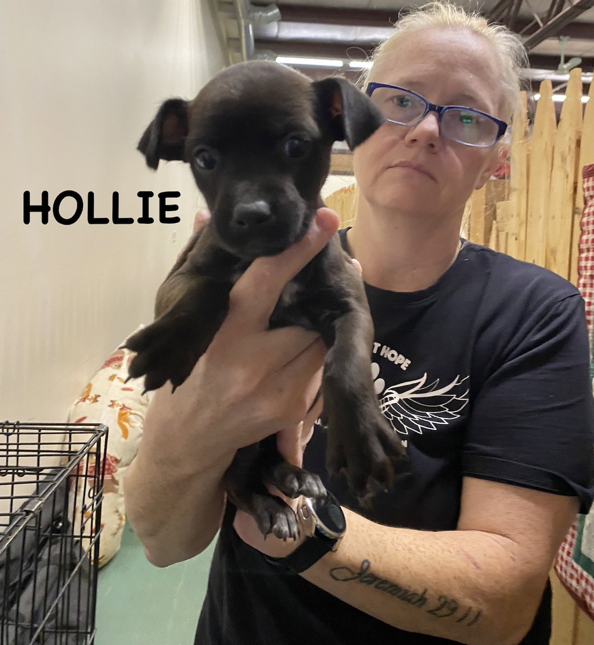 HOLLIE's Web Page