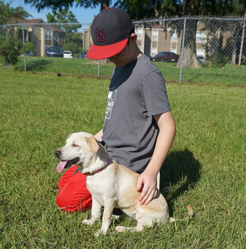 Nancy @ Camp Doglando's Web Page