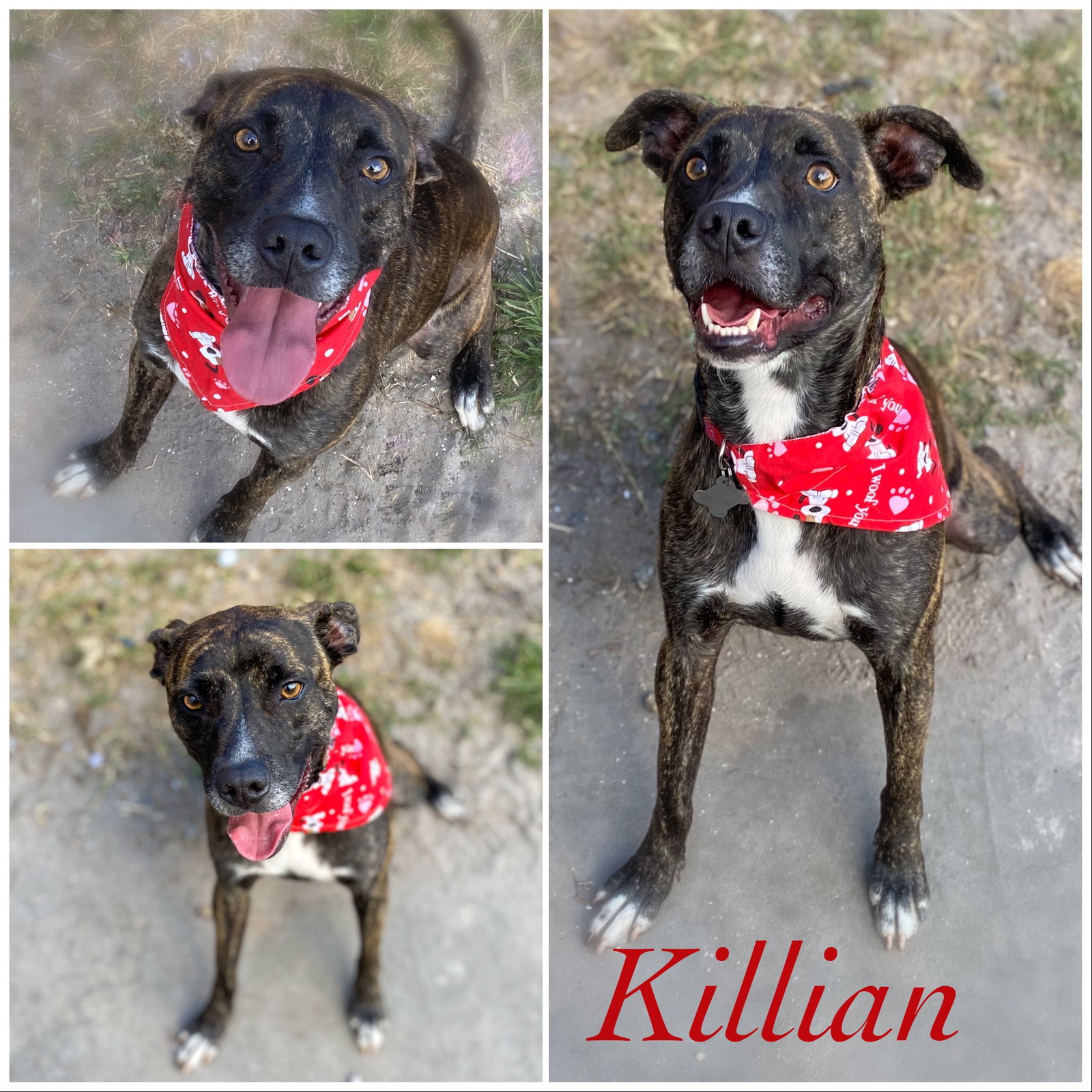 Killian AKA Gomez's Web Page