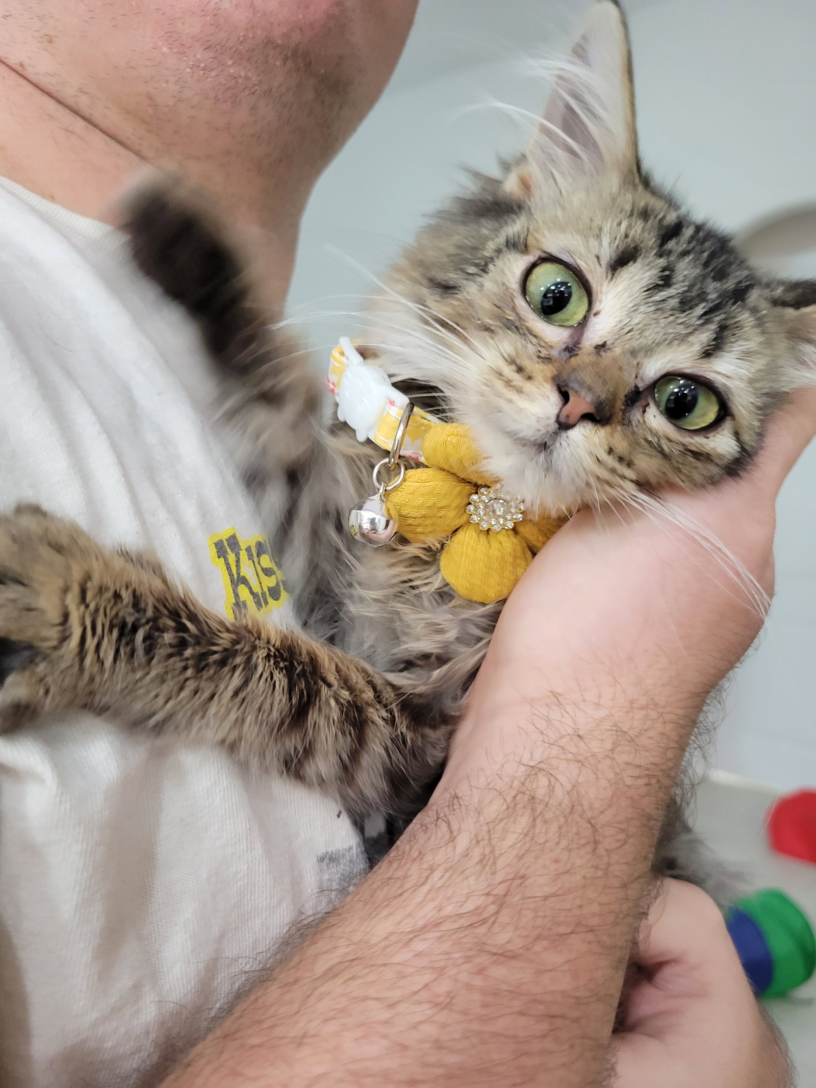 Coco Puffs' Web Page