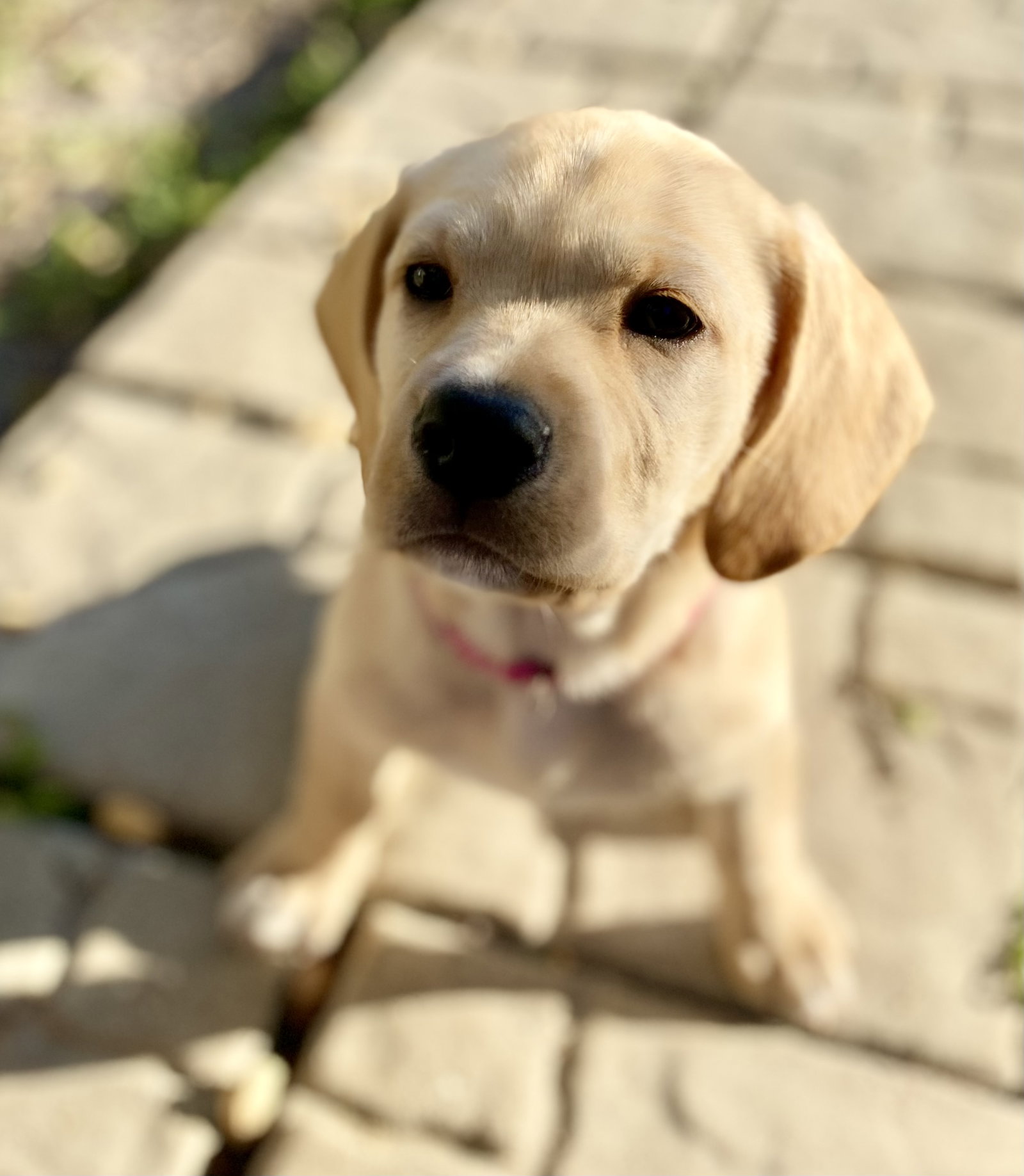 Penny's Web Page