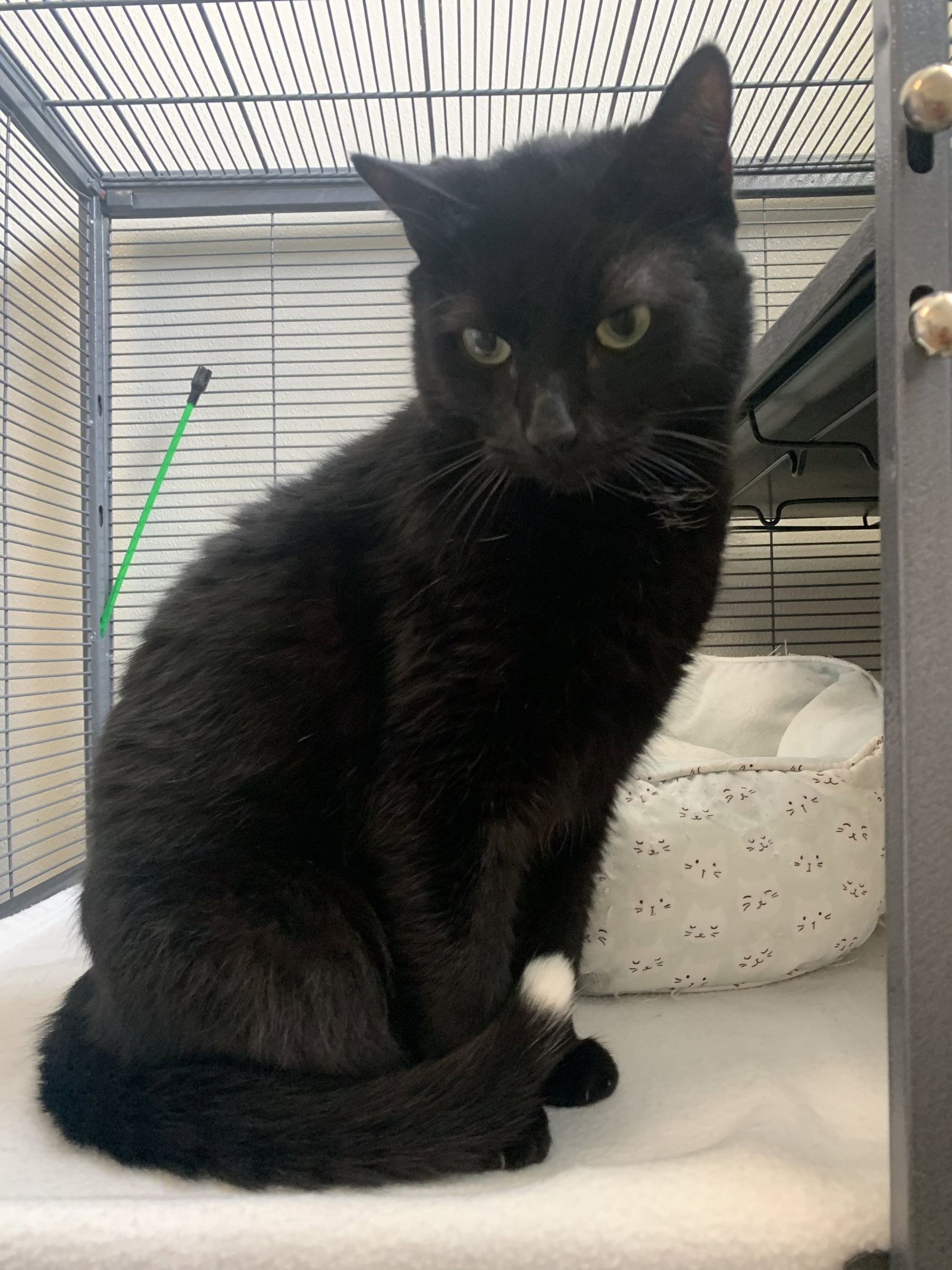 Binx's Web Page