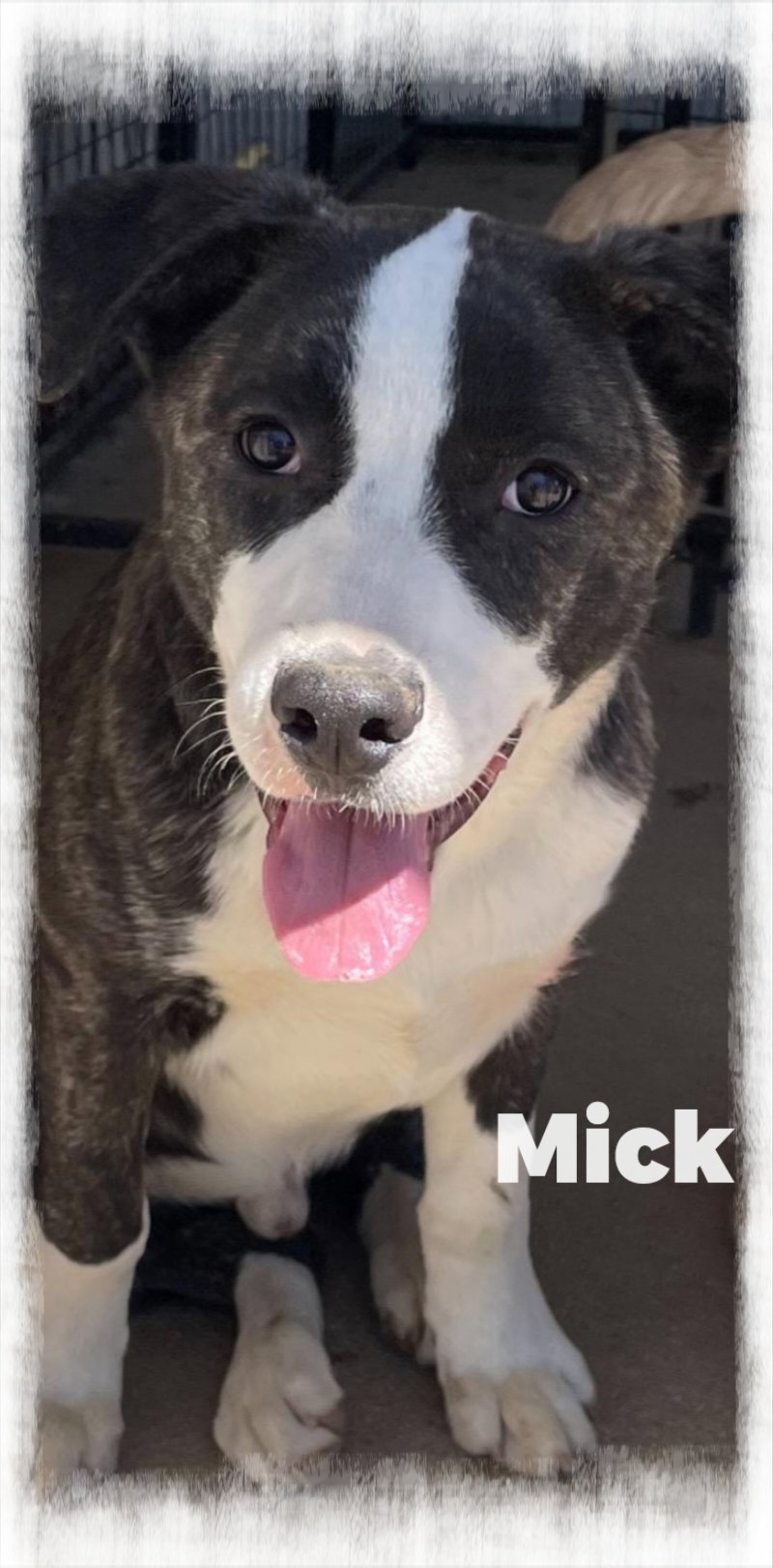 Mick's Web Page