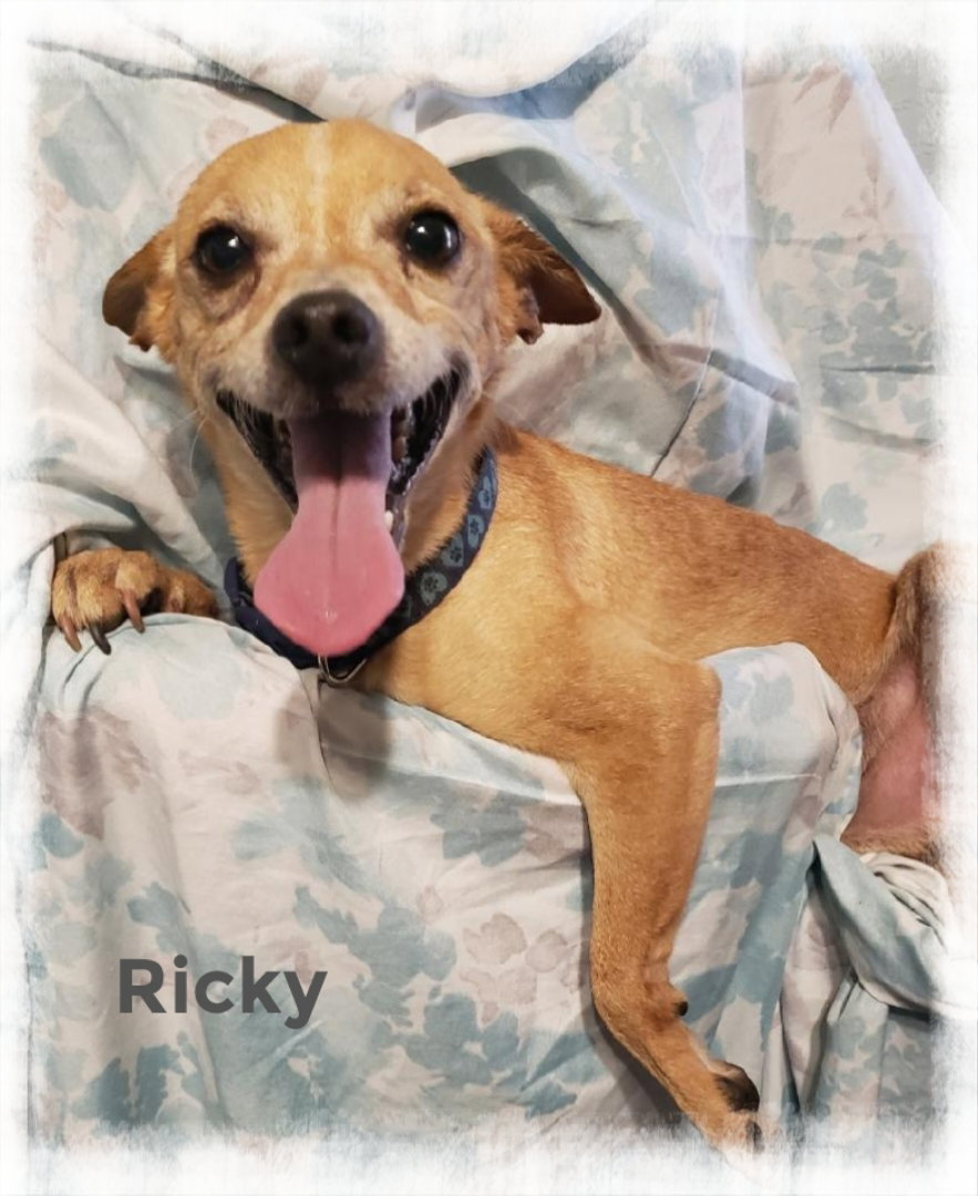 Ricky's Web Page