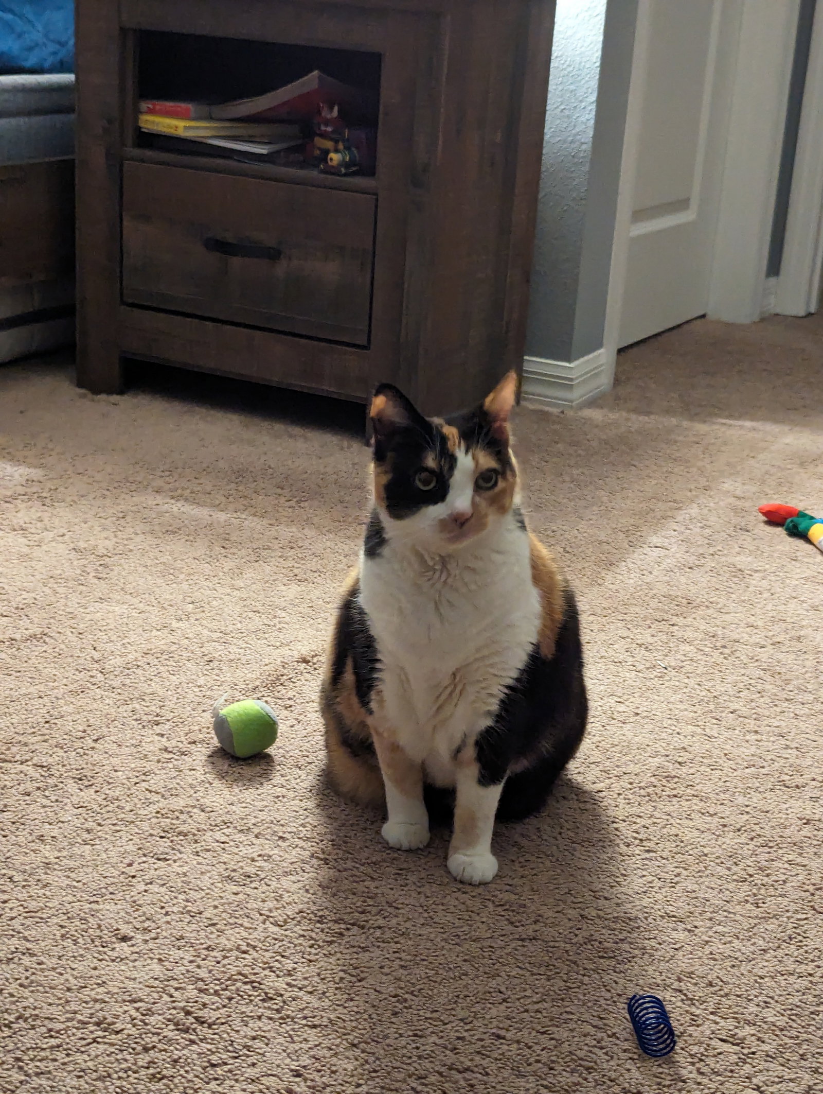 Calli 8.8.15's Web Page