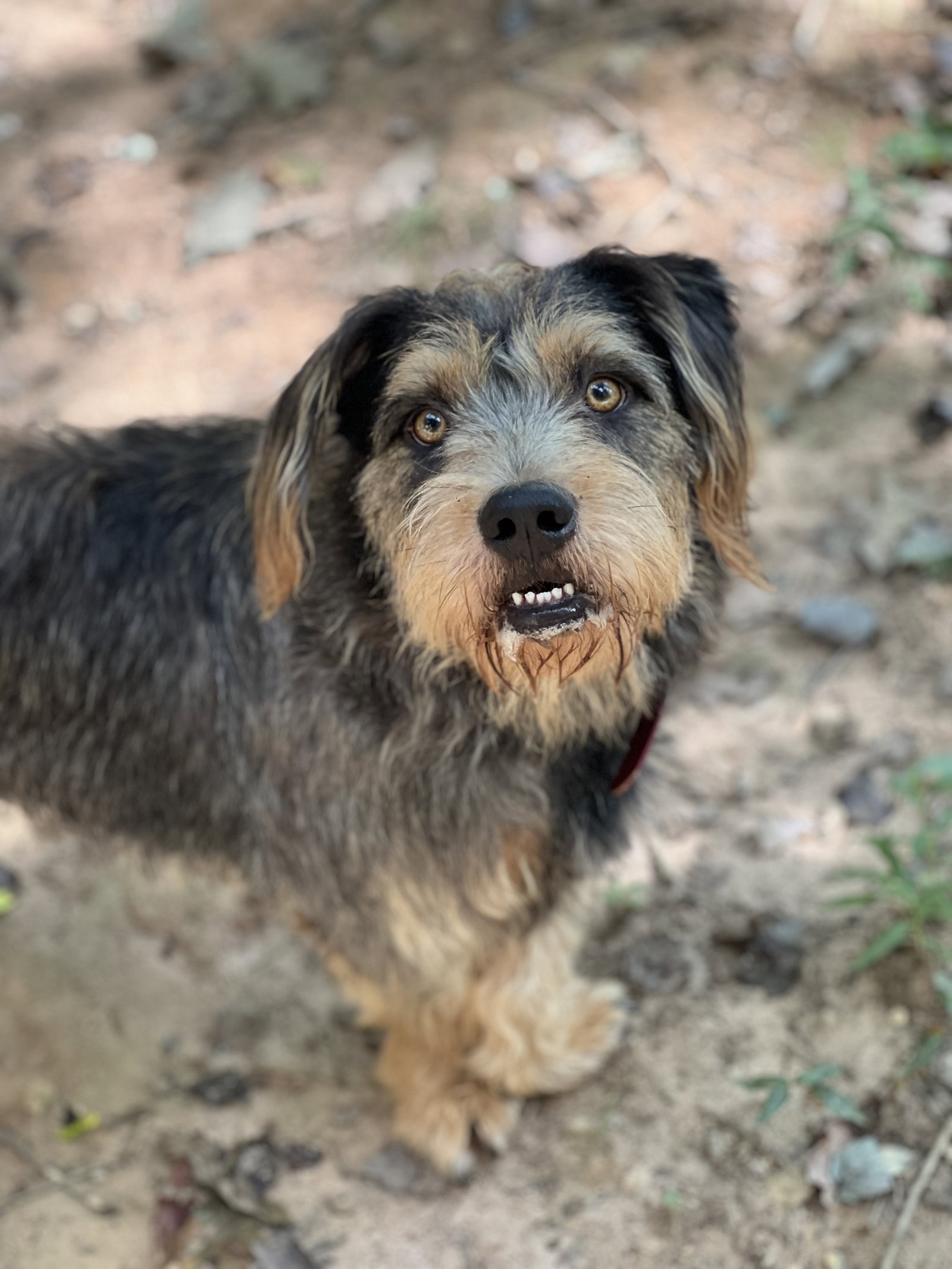 Cooper's Web Page
