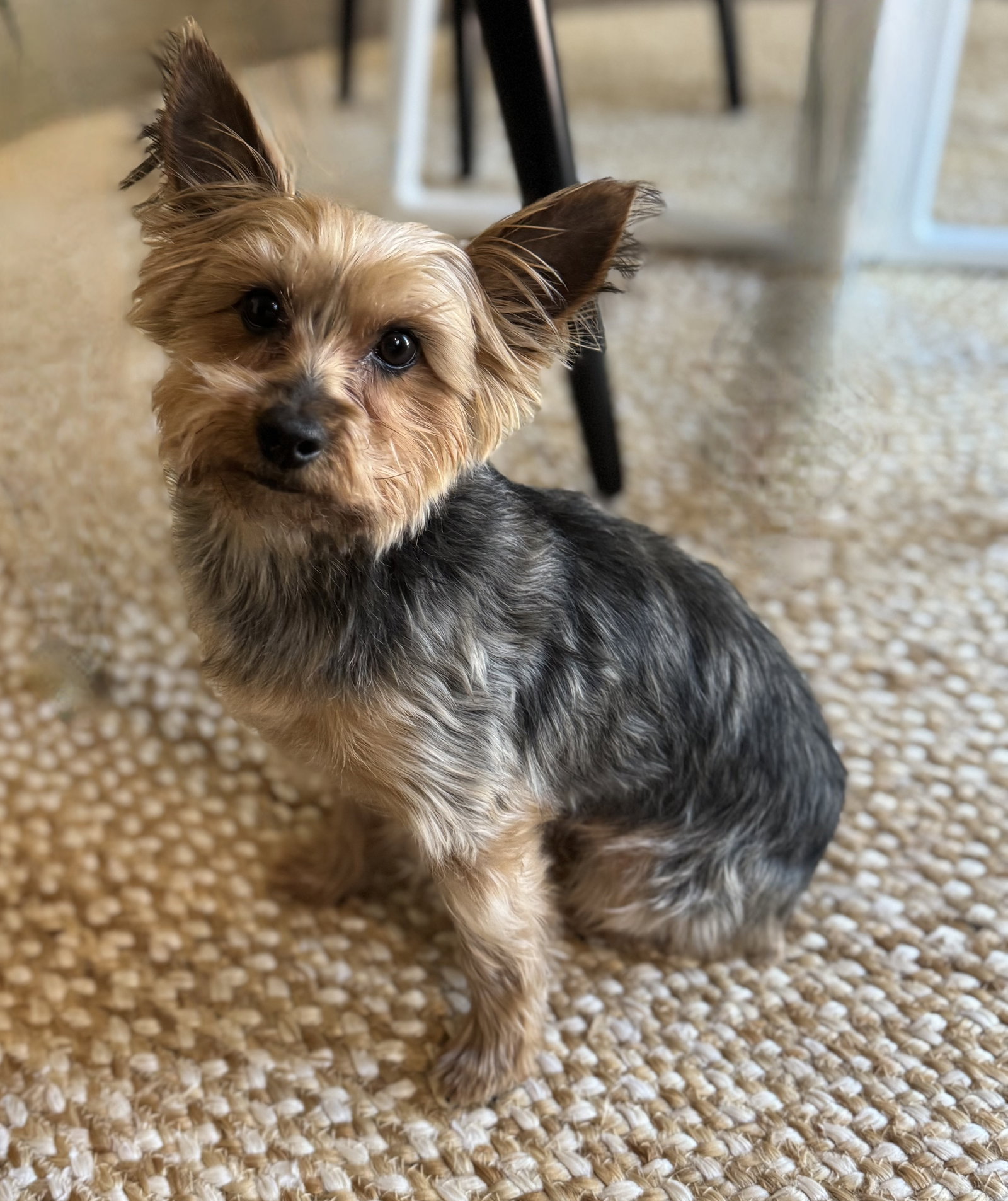 Nugget's Web Page