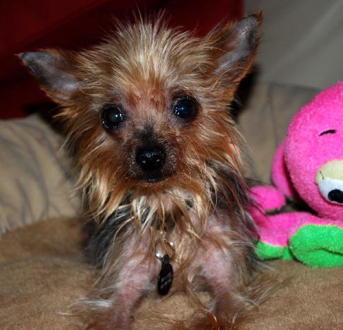 Wink's Web Page