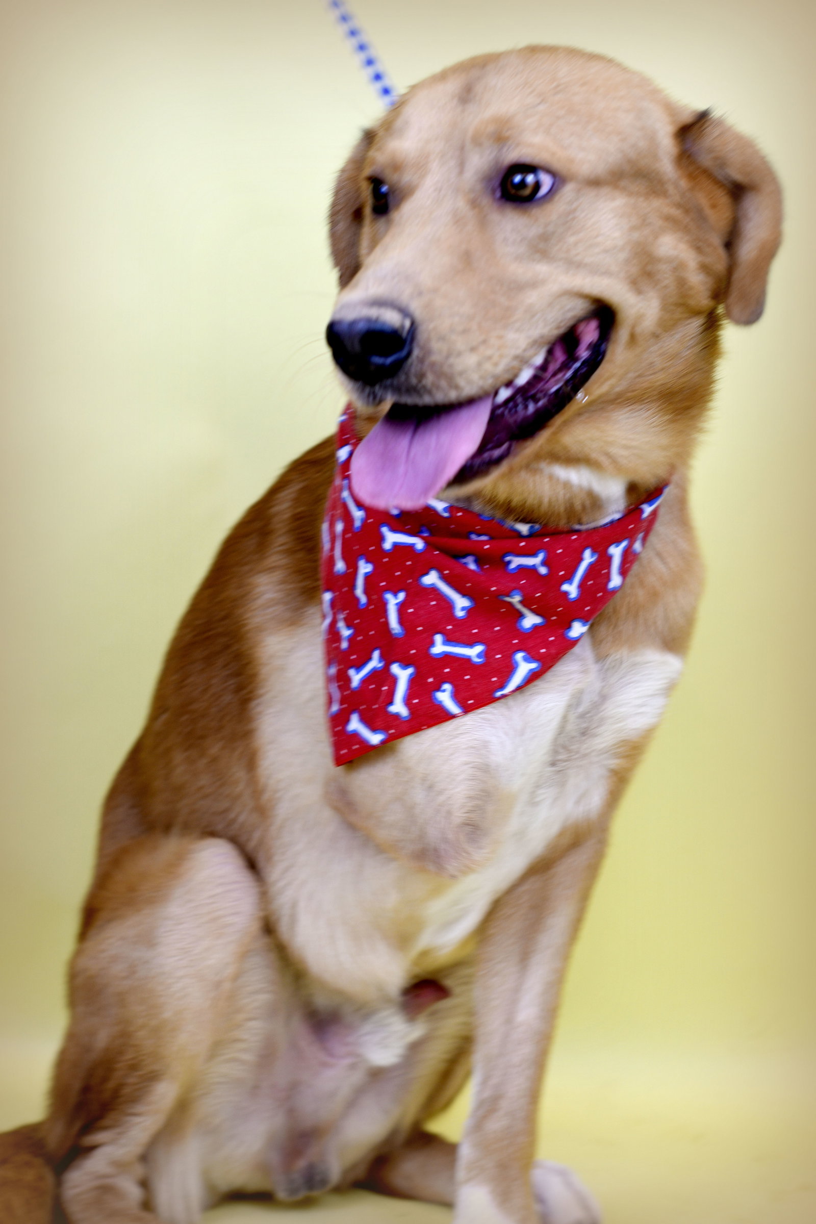 DUKE's Web Page