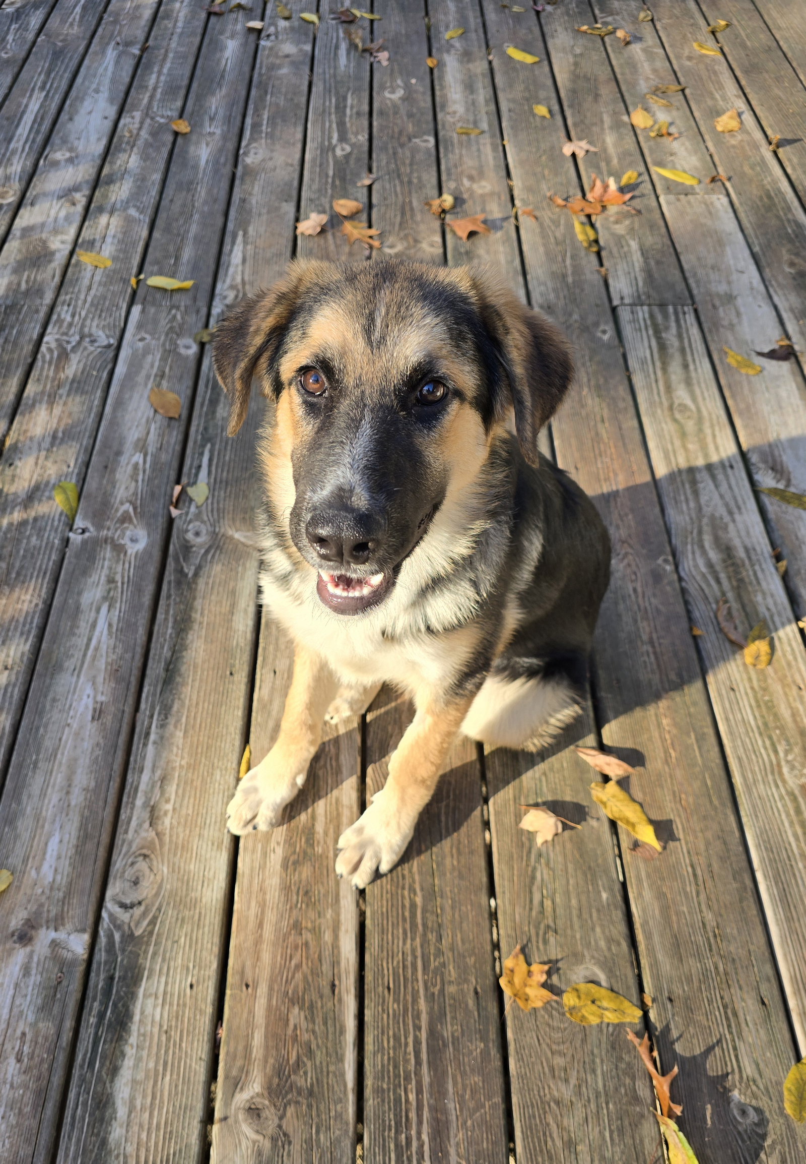 Sally's Web Page