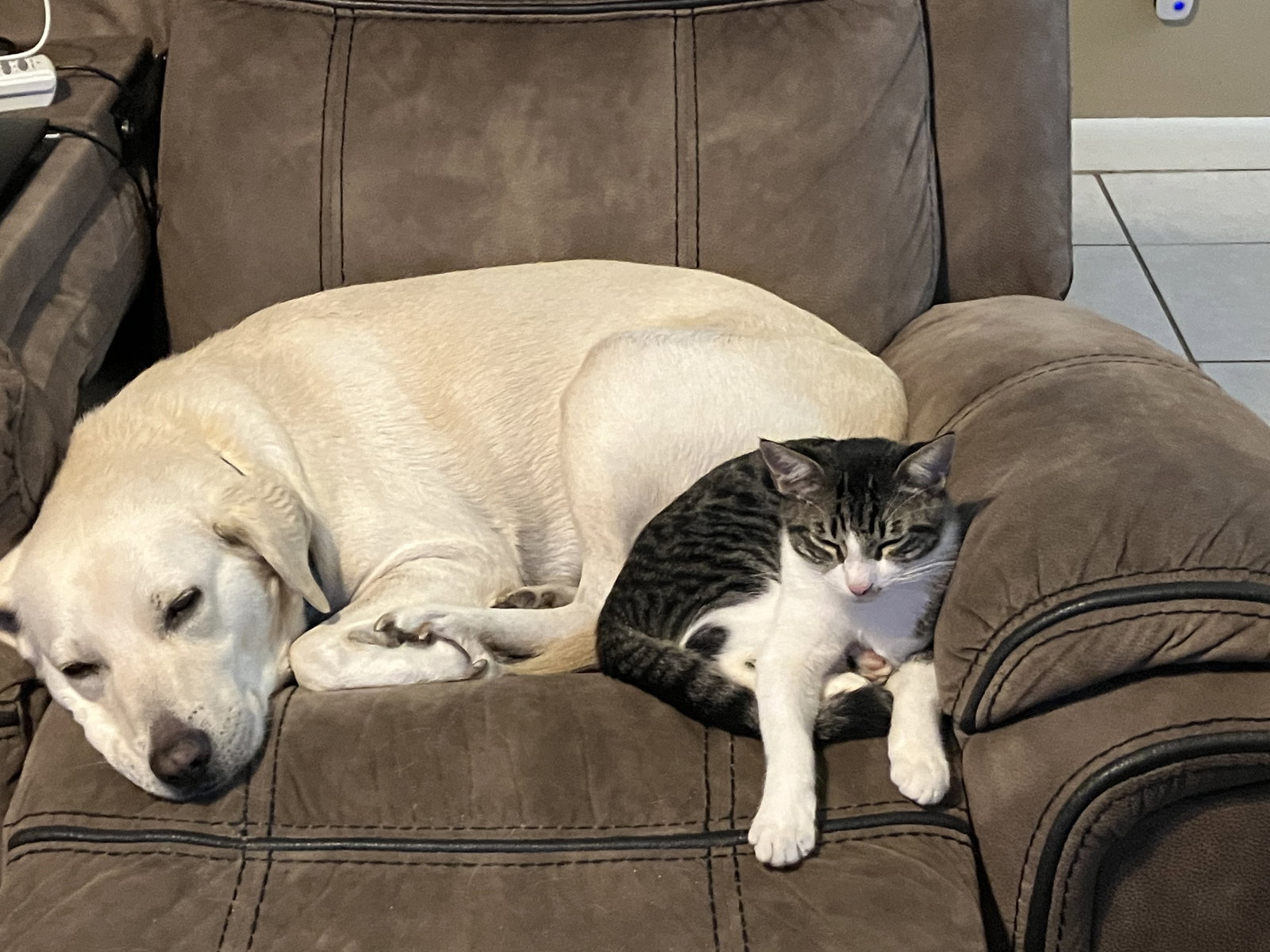 Snugs *'s Web Page