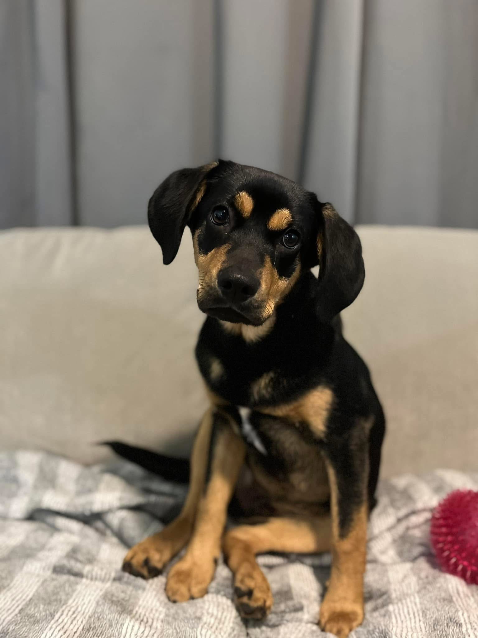 Rudy *'s Web Page