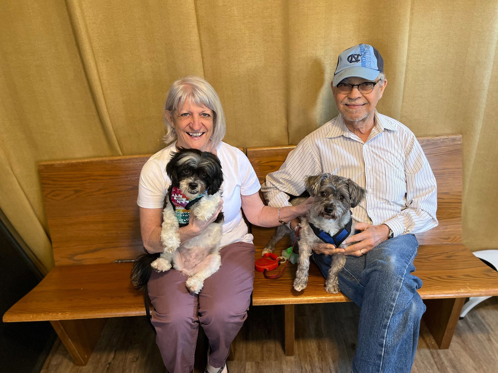 Dog for Adoption - Rumba Mar 22, a Shih Tzu in Sandy Springs, GA ...