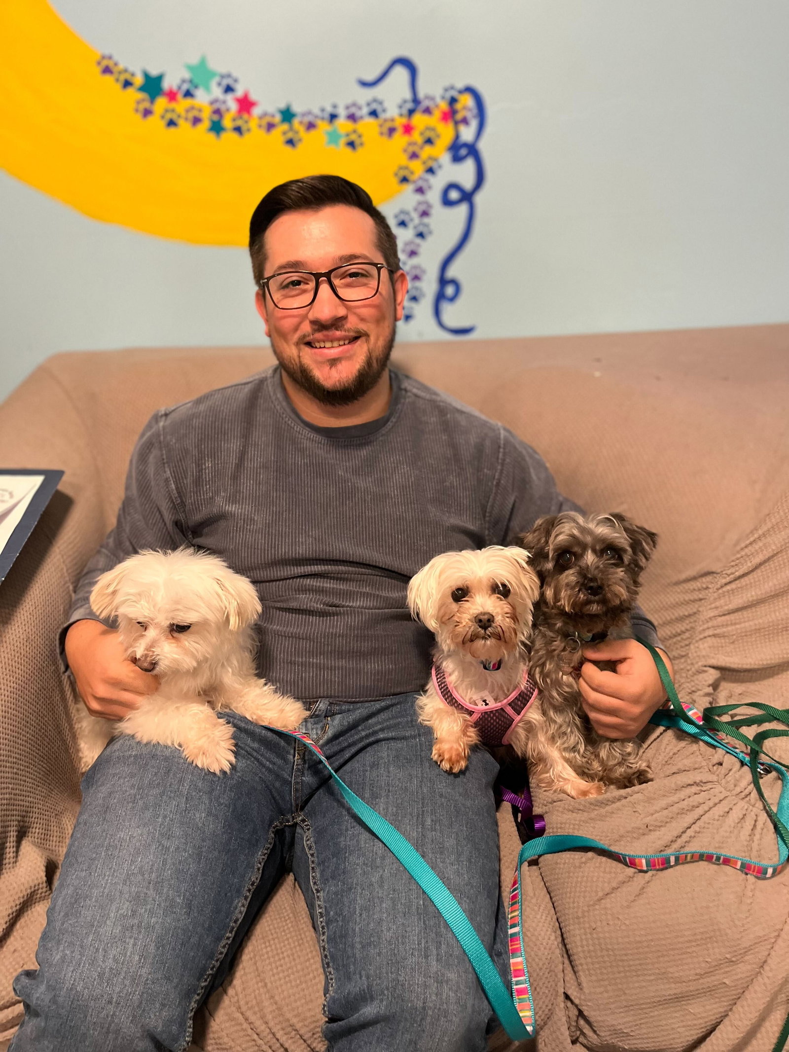 Dog adoption in Pacolet, SC 29372: Maltese / Mixed (medium coat) Dog ...