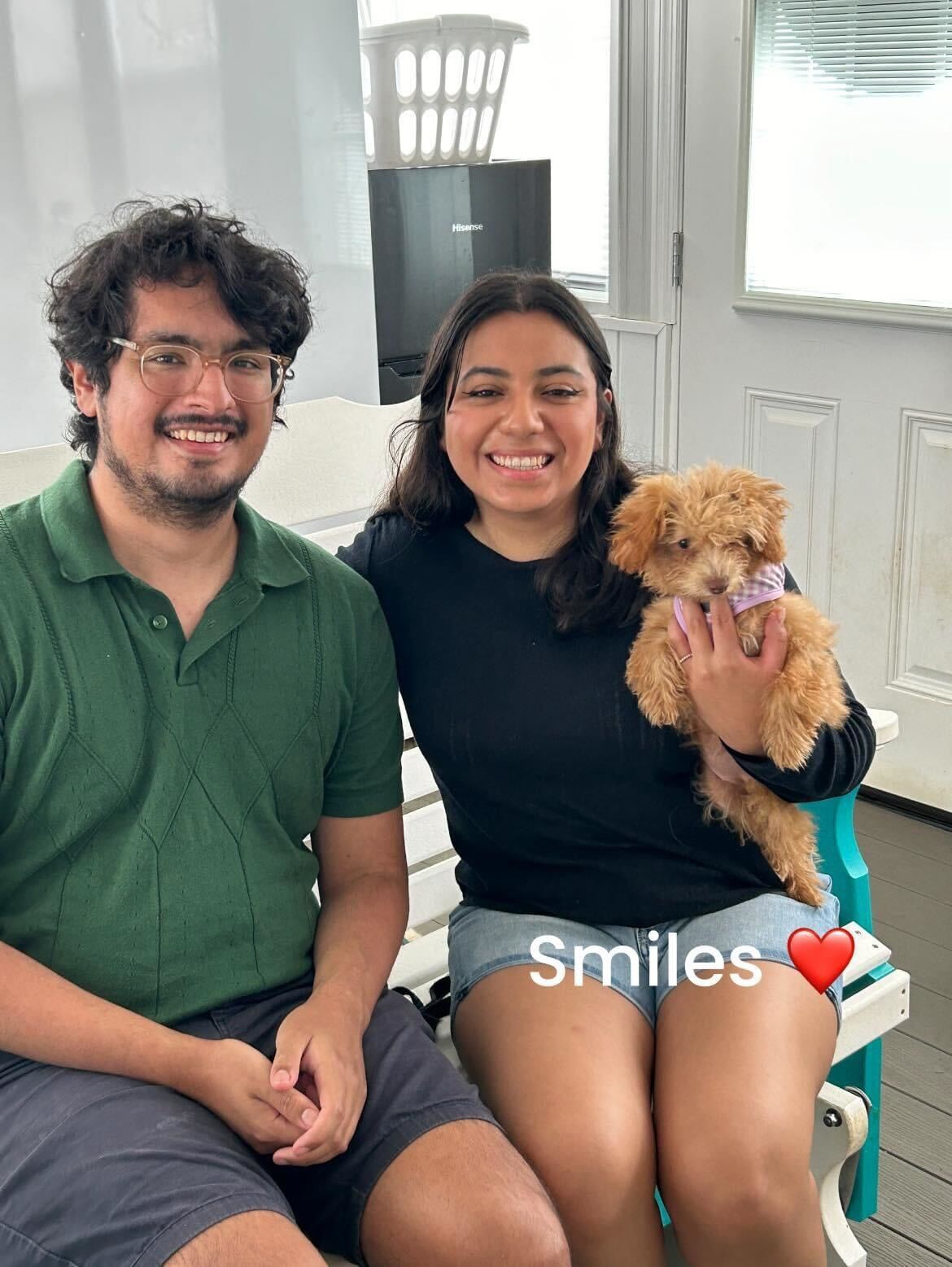 Nori Apr 24 - In Foster in Rocky Mount, NC — Carolina Poodle Rescue