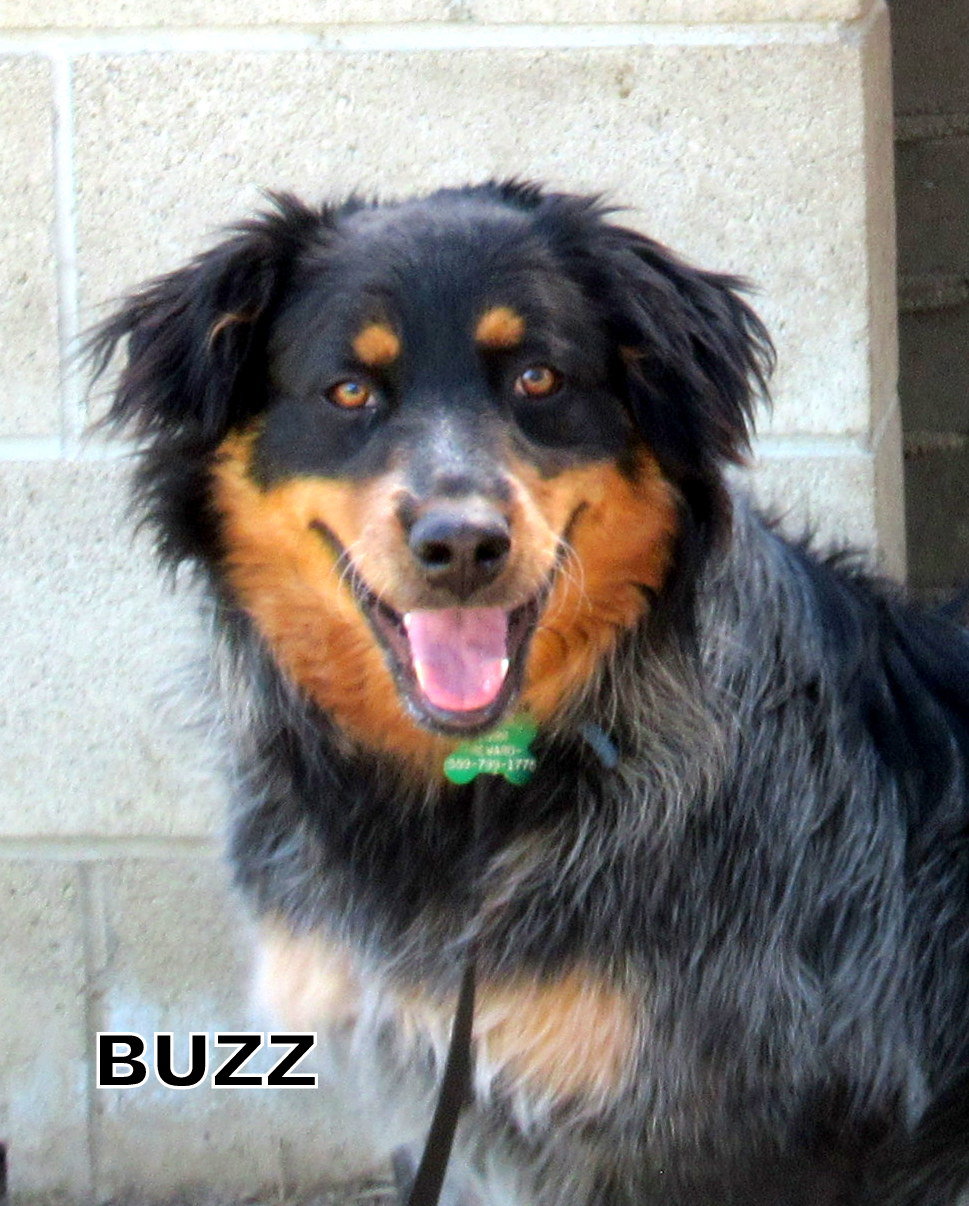 Buzz's Web Page