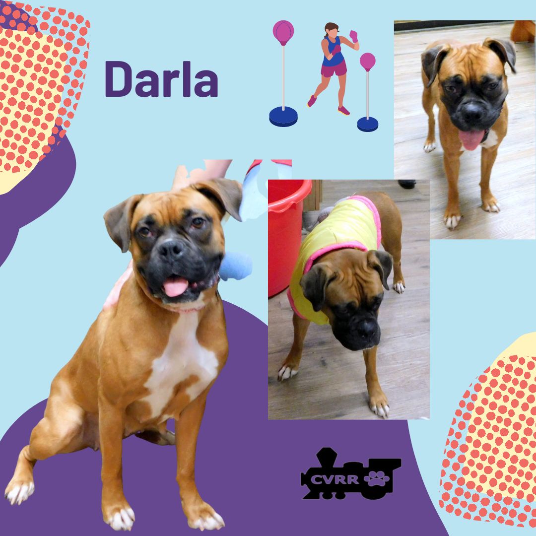 Darla (Ritzy)'s Web Page