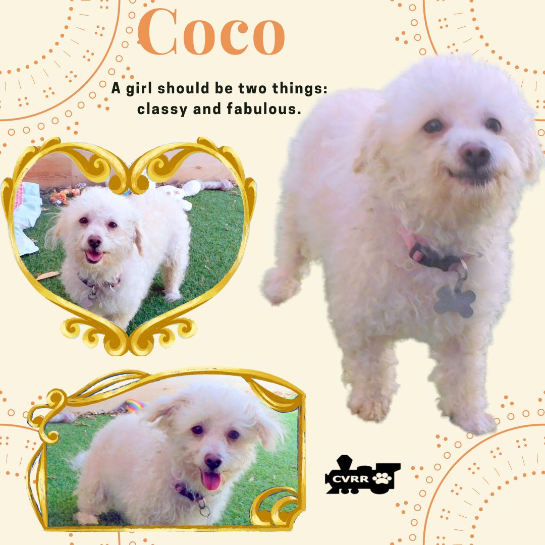 Coco (Ritzy)'s Web Page