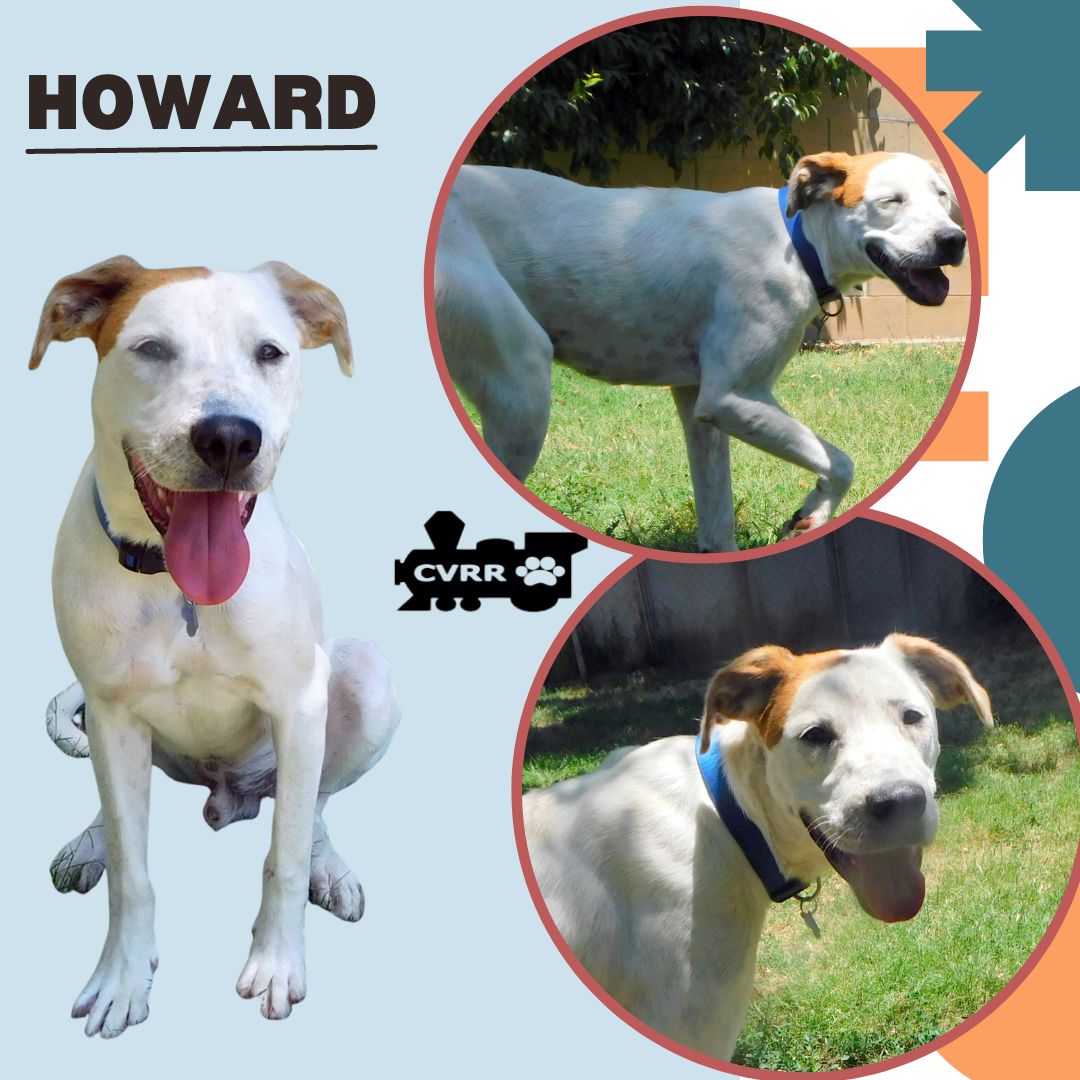 Howard's Web Page