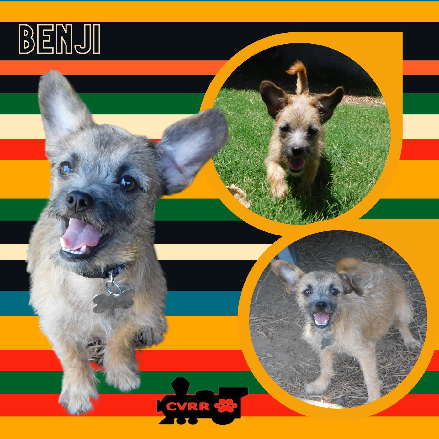 Benji's Web Page