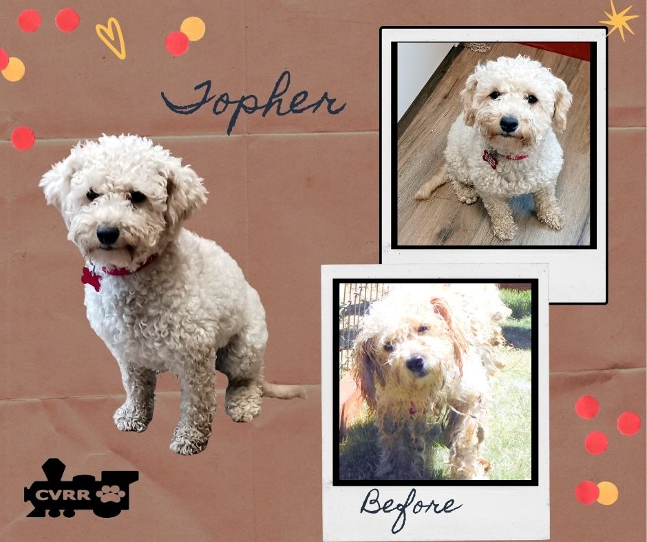 Topher (Ritzy)'s Web Page