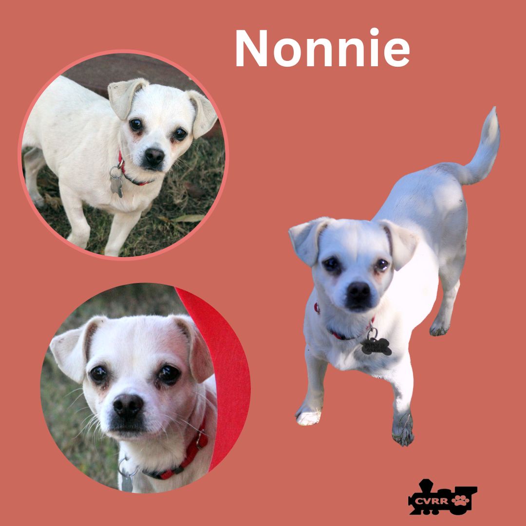 Nonnie's Web Page