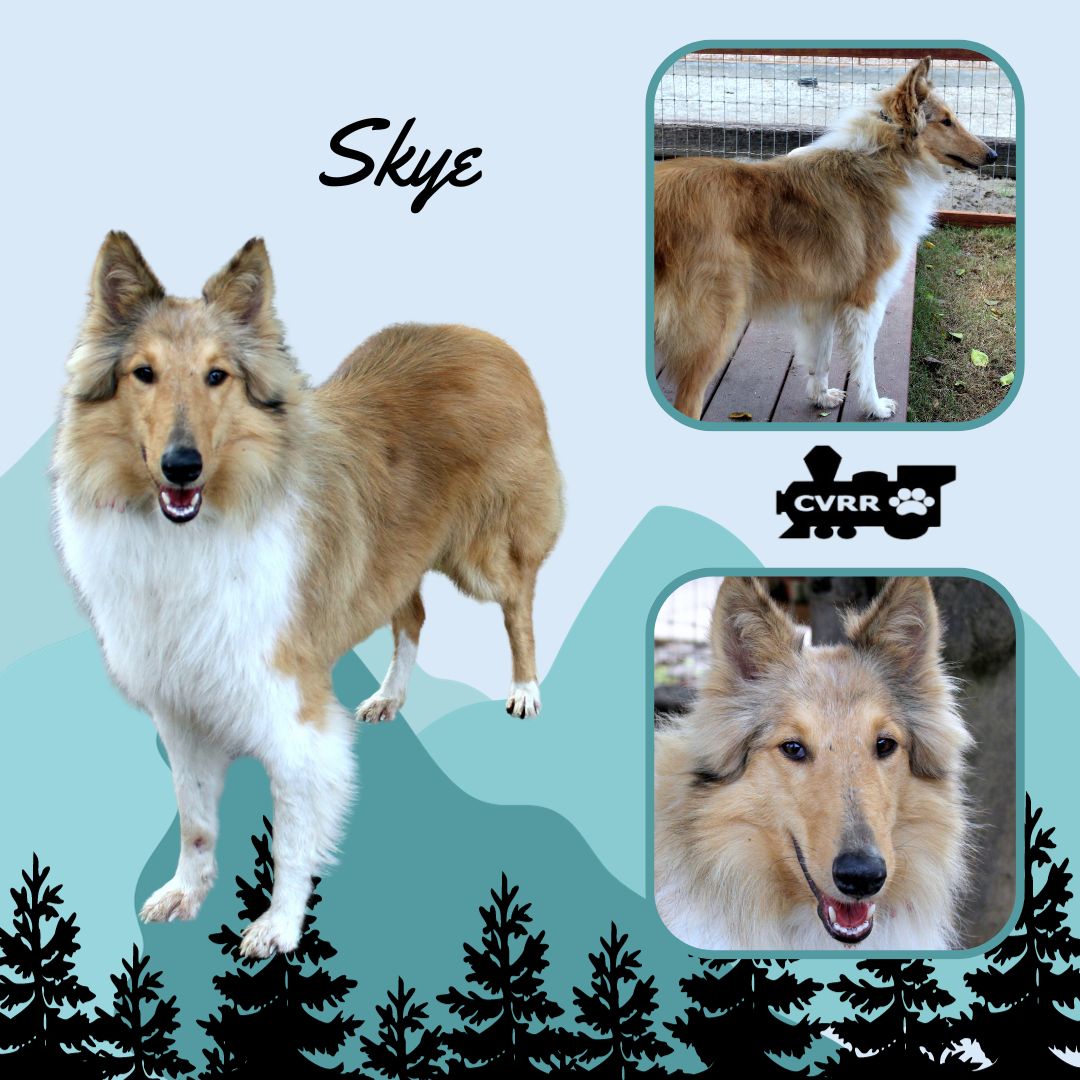 Skye (Ritzy)'s Web Page