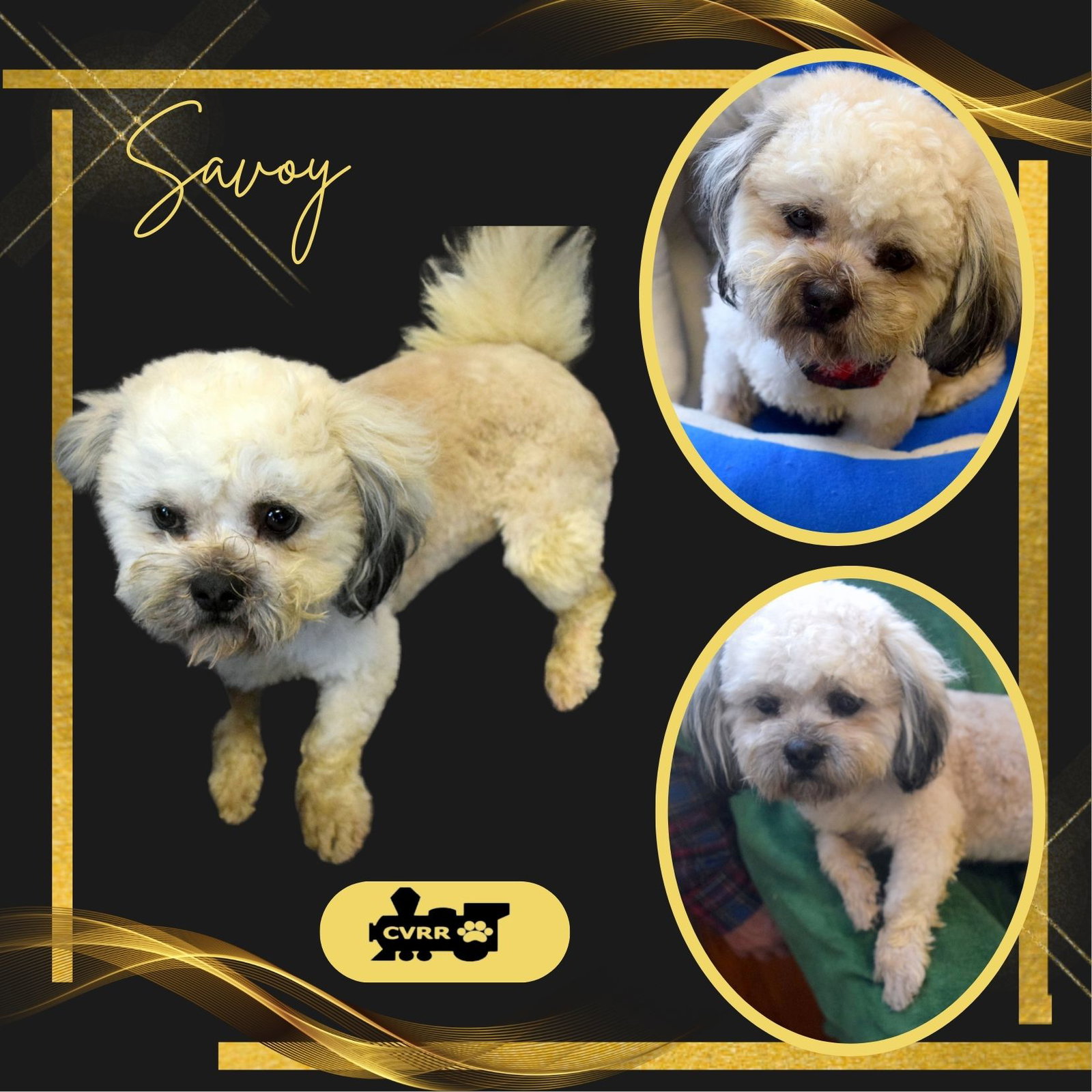 Savoy (Ritzy)'s Web Page
