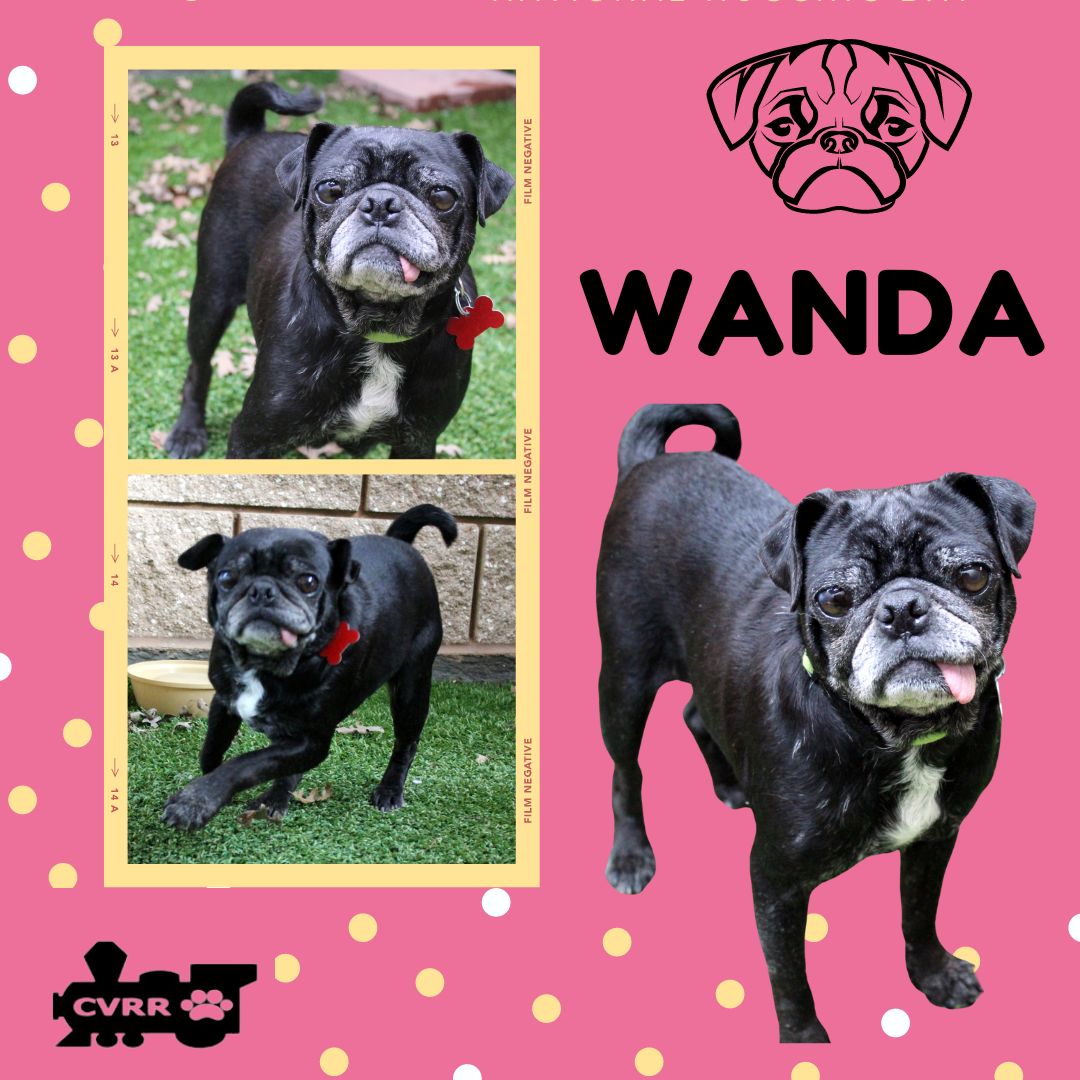 Wanda (Ritzy)'s Web Page
