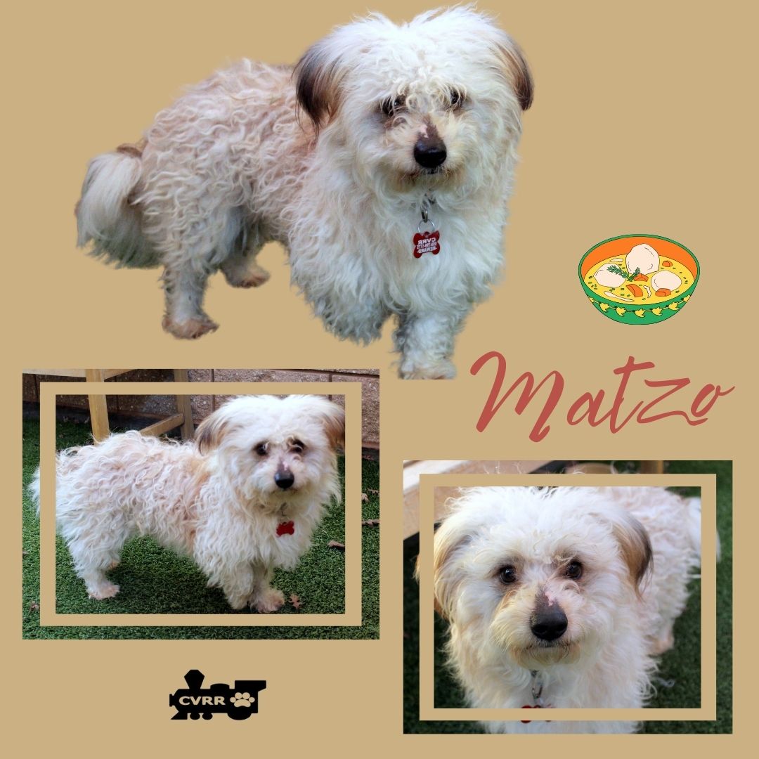 Matzo (Ritzy)'s Web Page