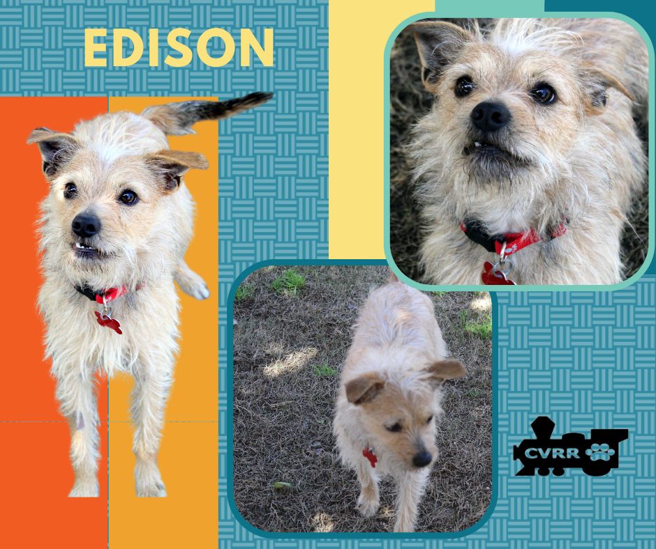 Edison's Web Page