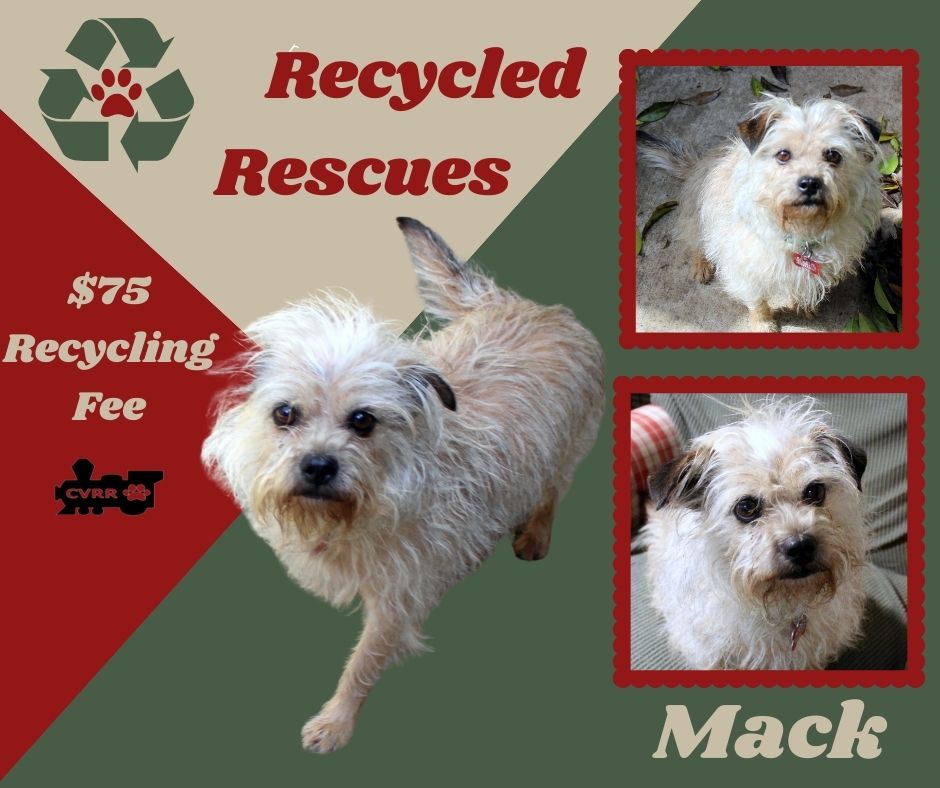Mack (Recycle)'s Web Page