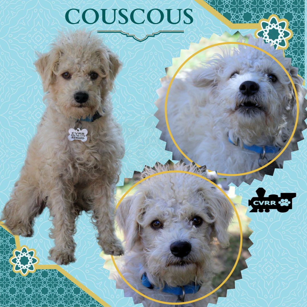 Couscous (Ritzy)'s Web Page