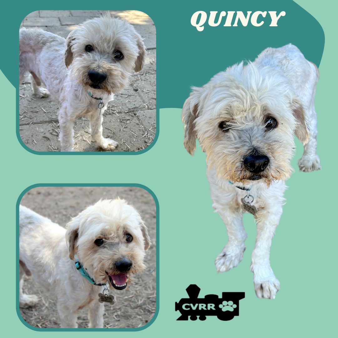 Quincy's Web Page