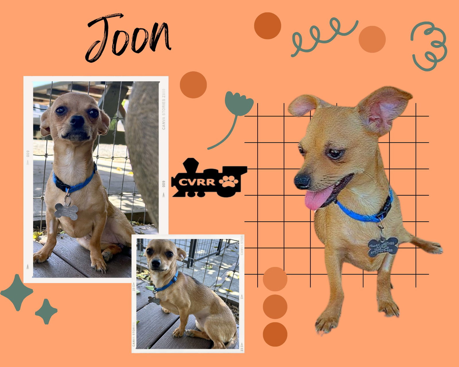 Joon's Web Page