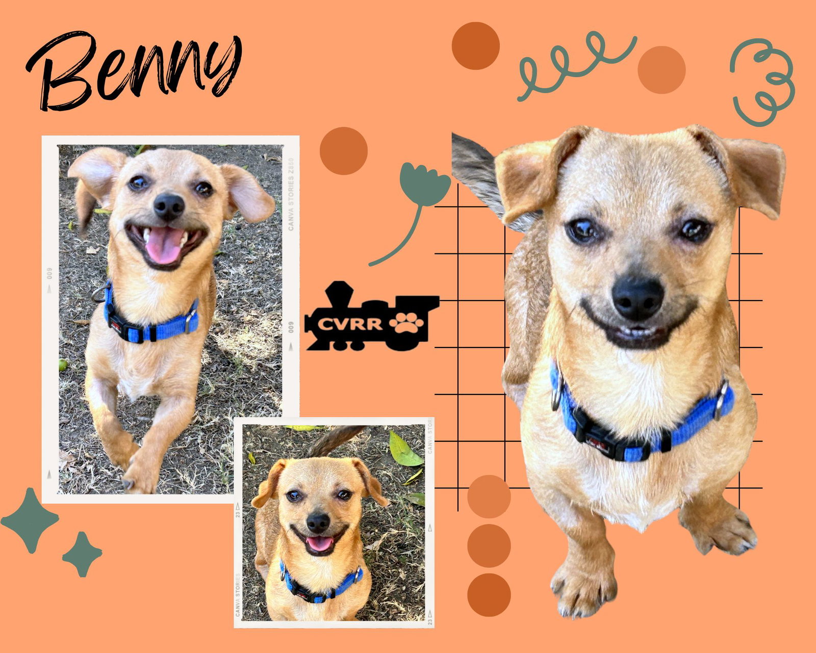 Benny's Web Page