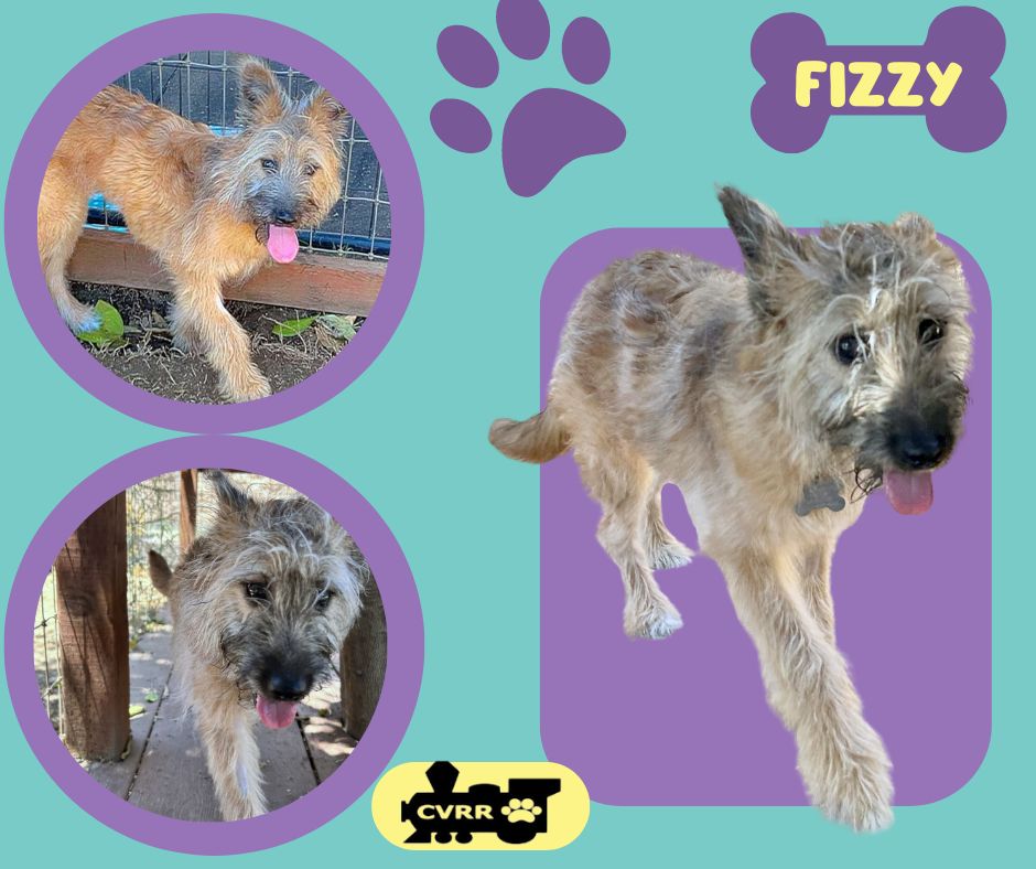 Fizzy's Web Page