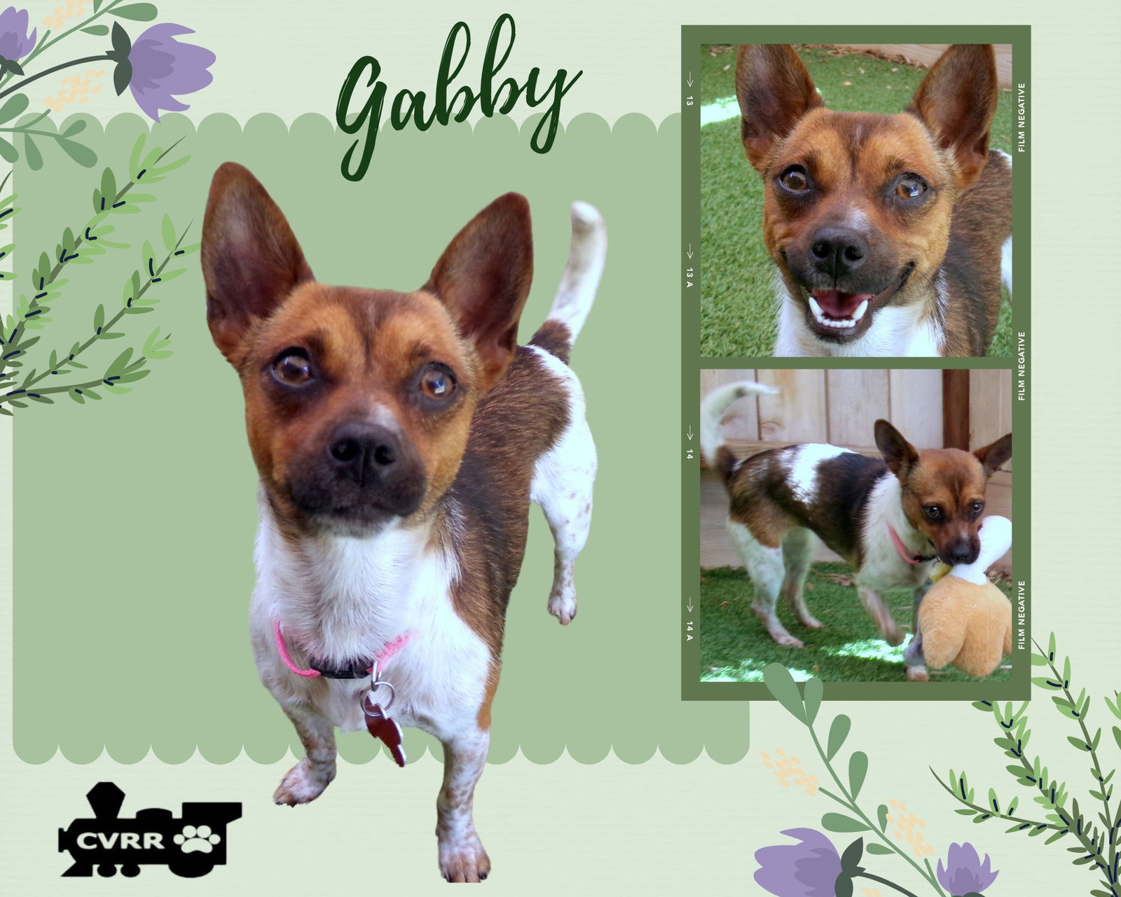 Gabby's Web Page