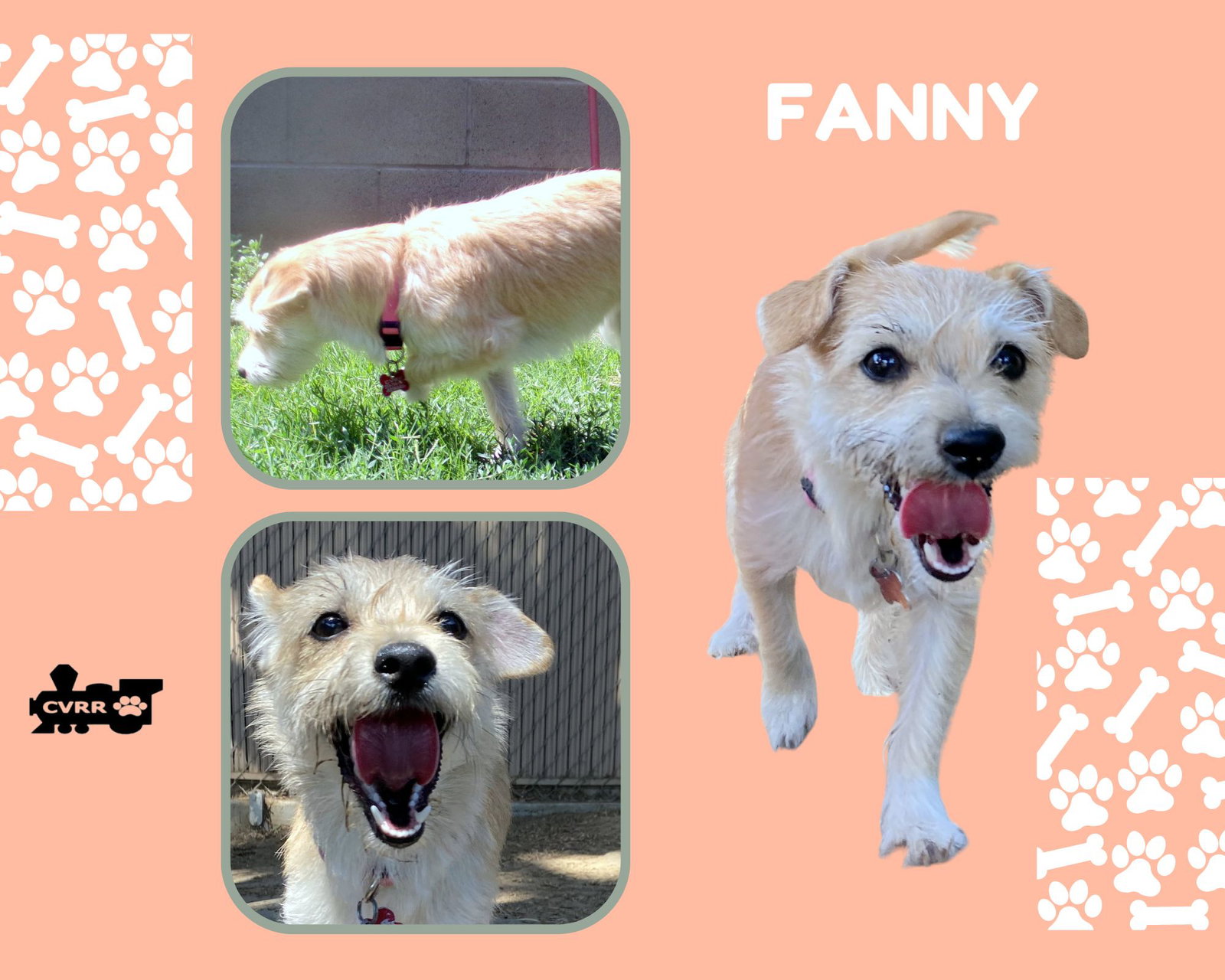 Fanny's Web Page
