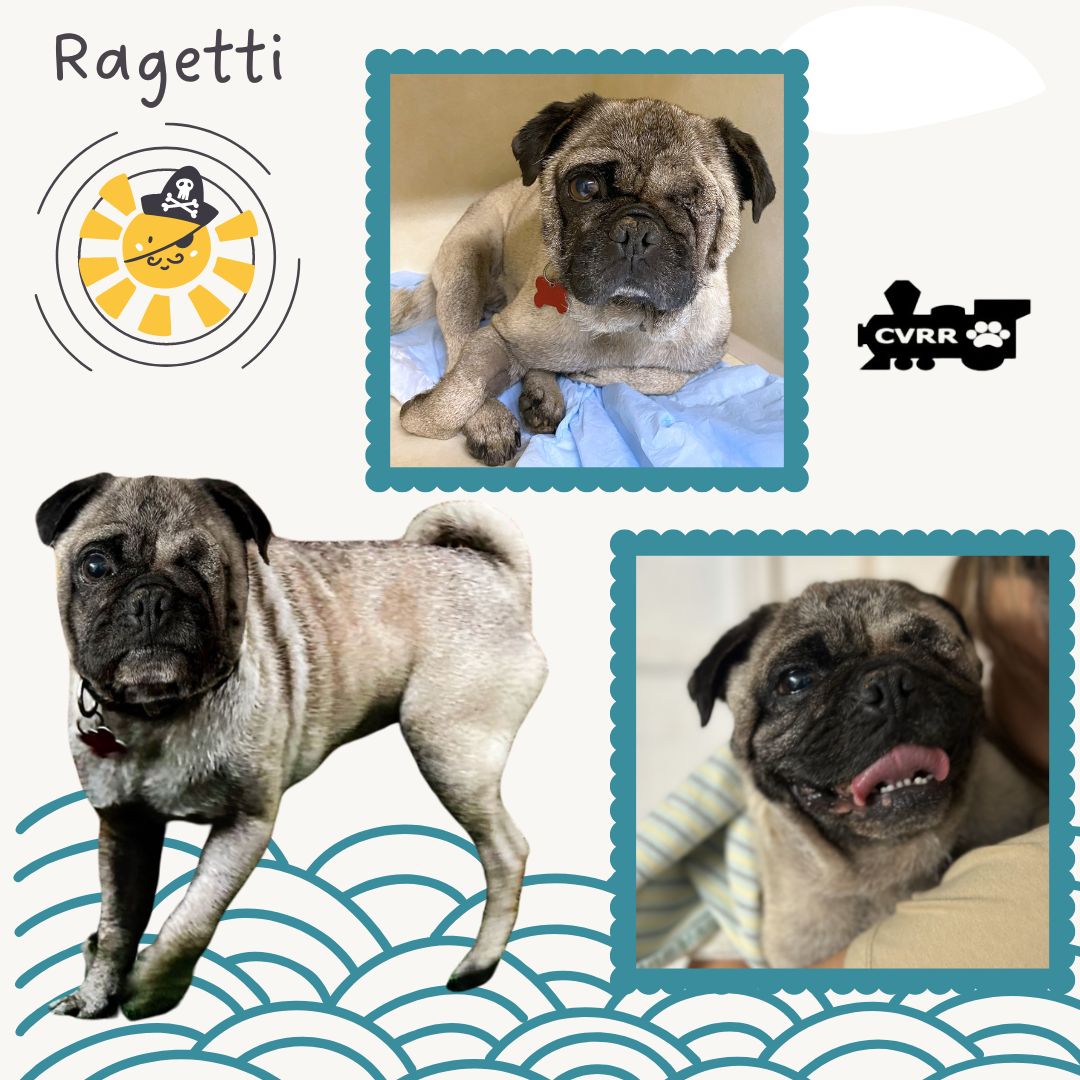Ragetti (Ritzy)'s Web Page