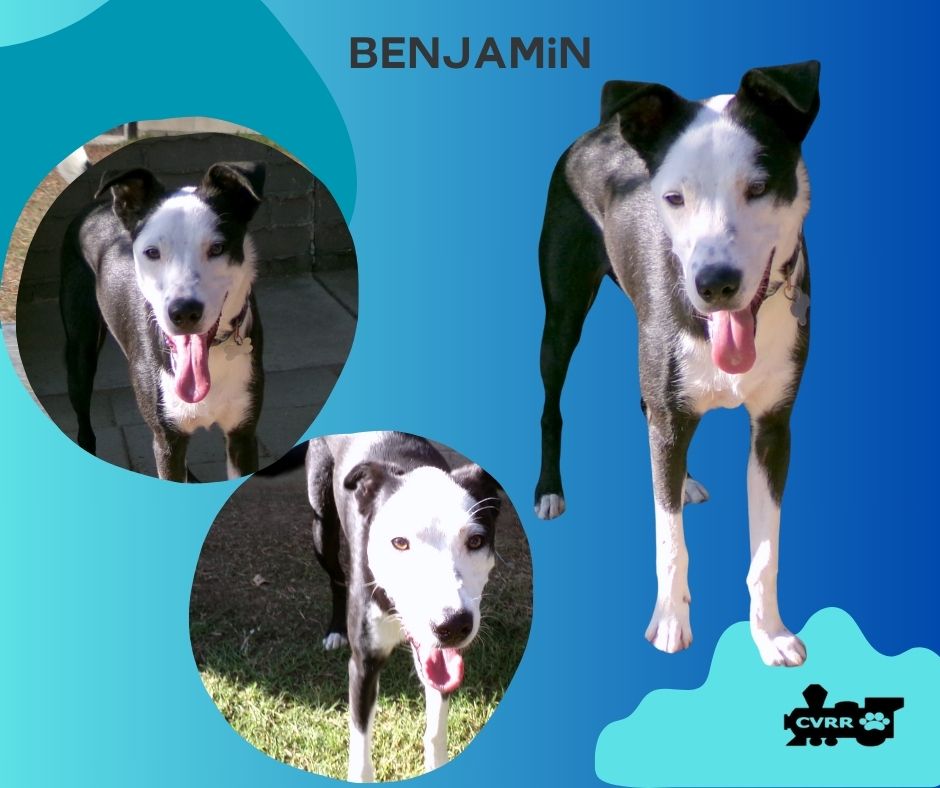Benjamin's Web Page