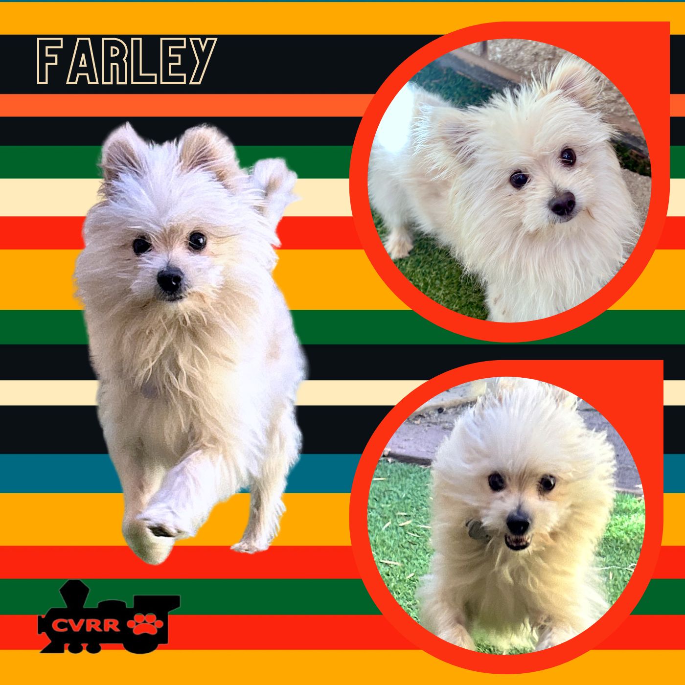Farley (Ritzy)'s Web Page