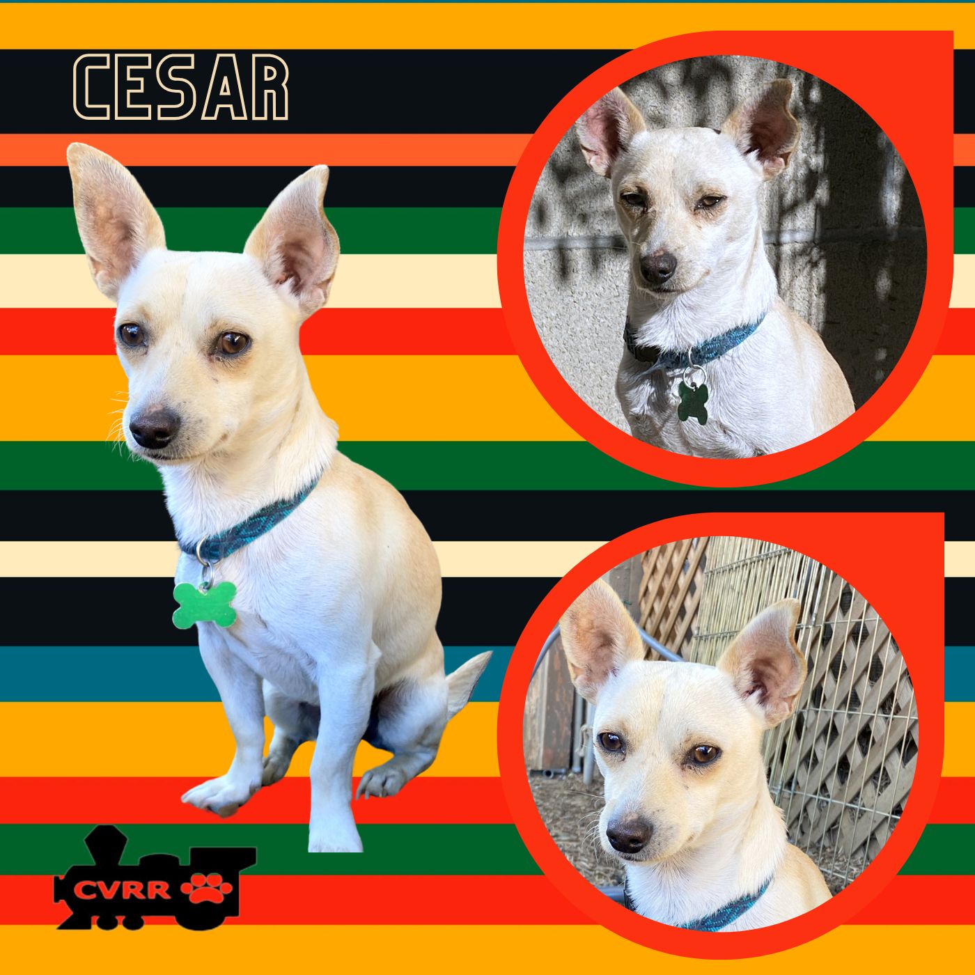 Cesar's Web Page