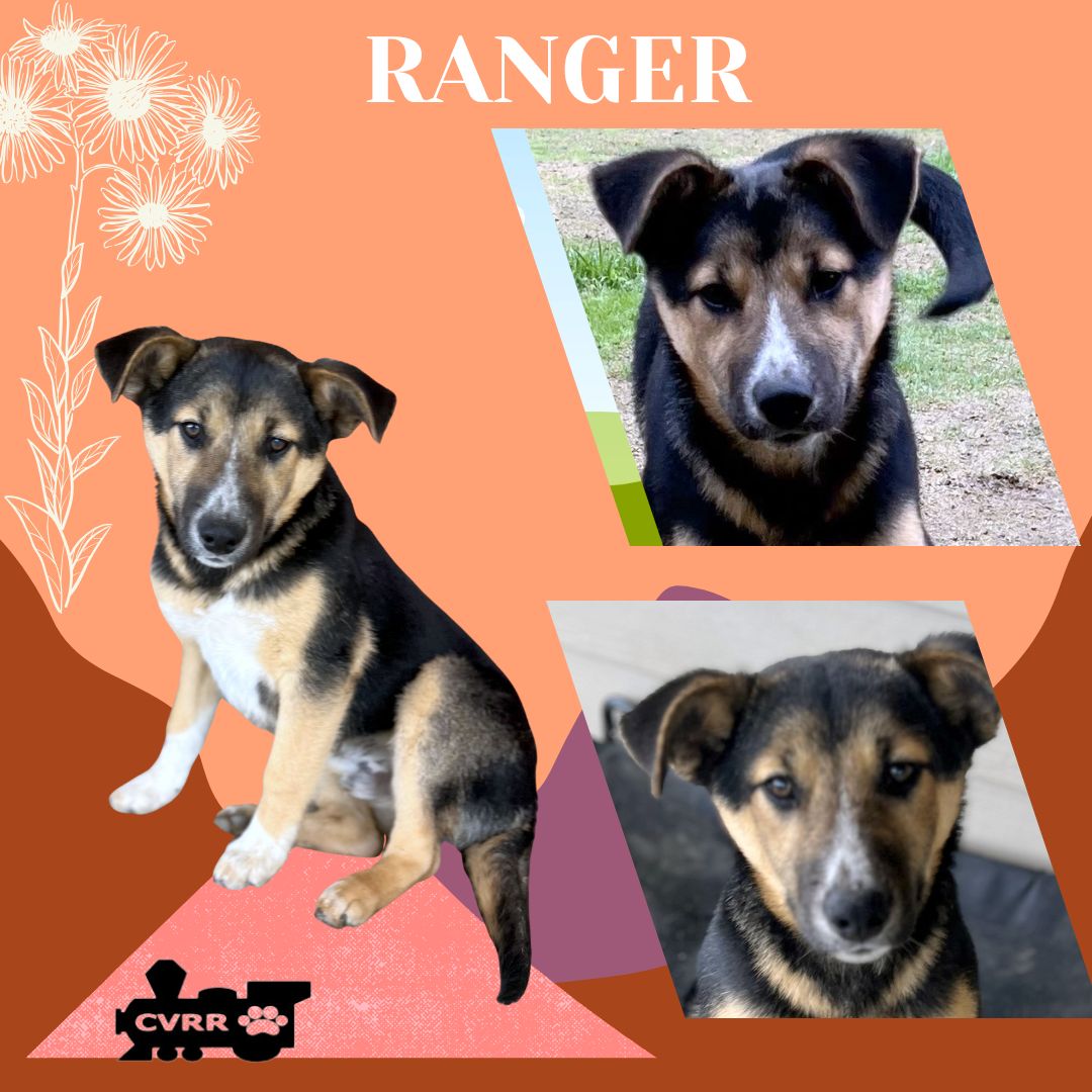 Ranger's Web Page