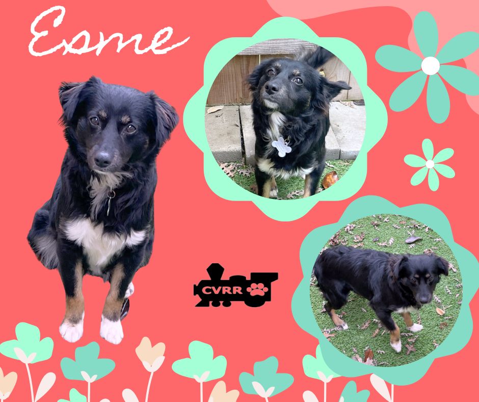 Esme's Web Page