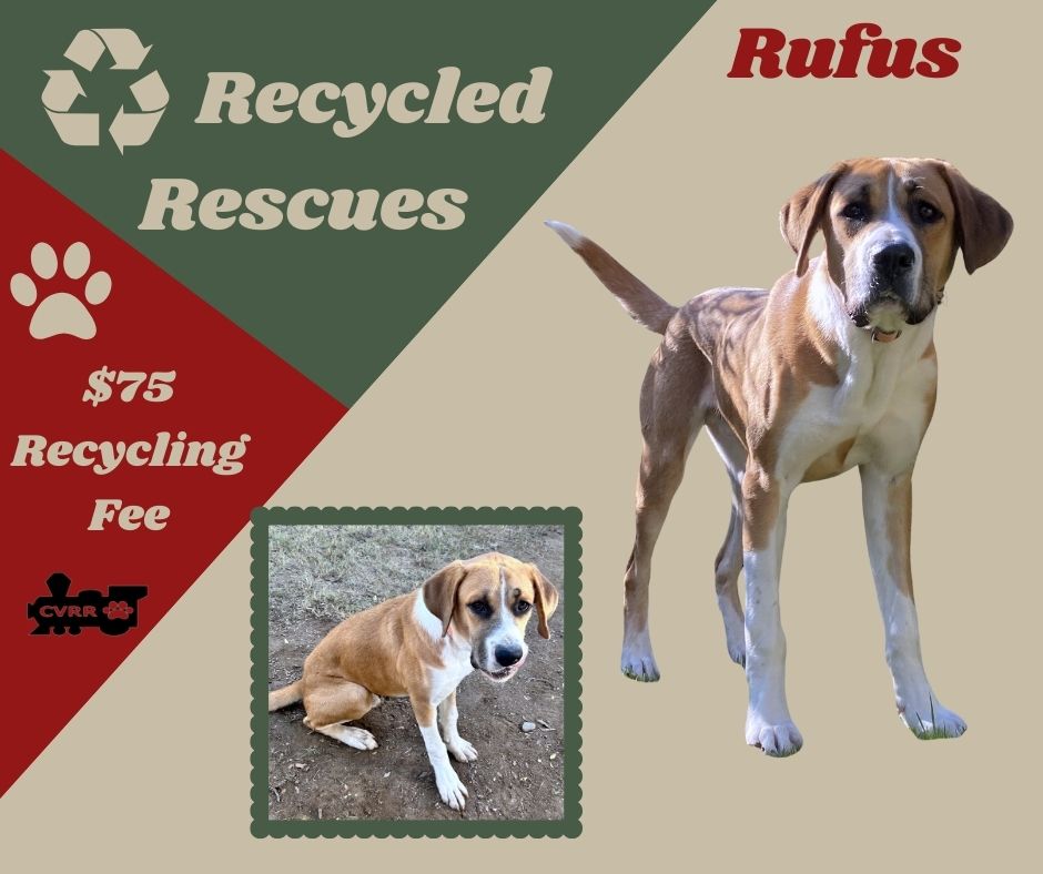 Rufus (Recycle)'s Web Page