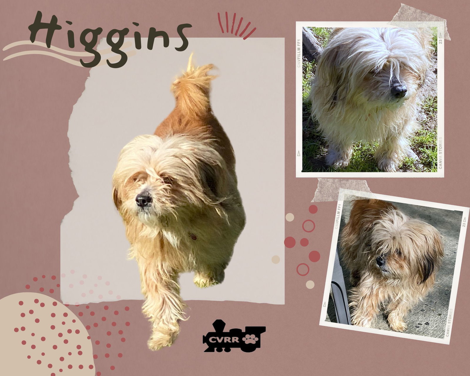 Higgins' Web Page