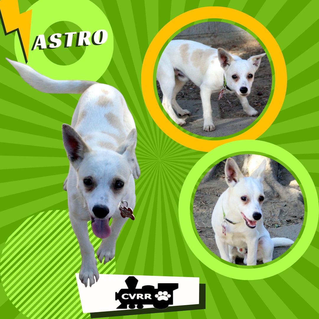 Astro's Web Page