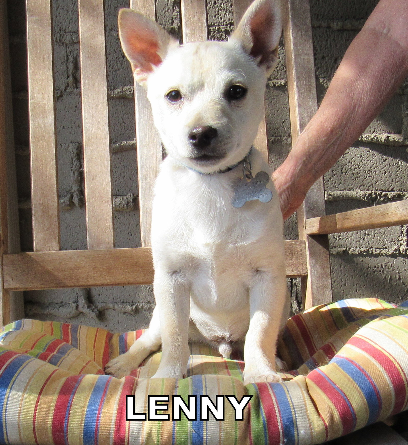 Lenny's Web Page