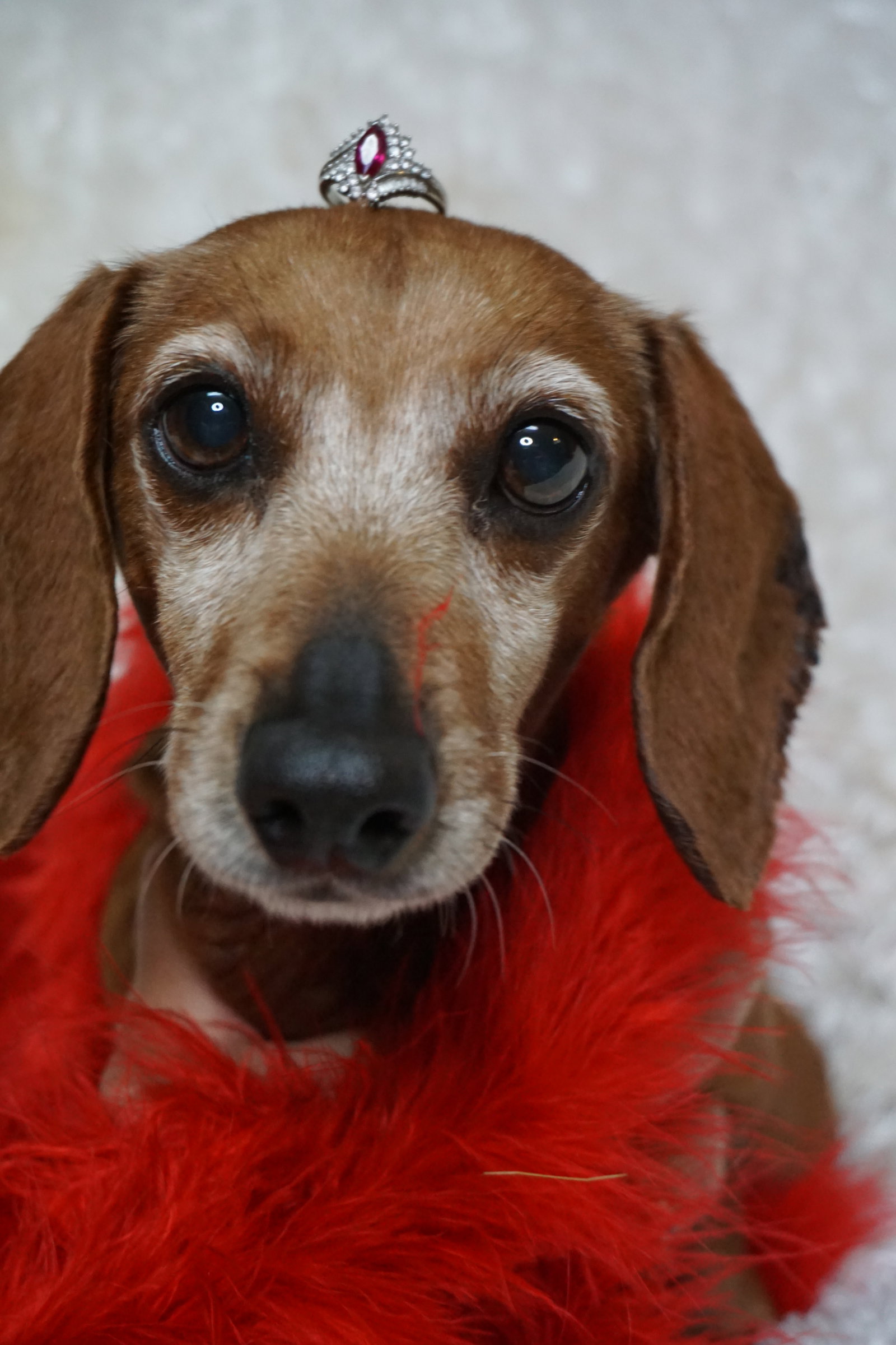 Ruby's Web Page